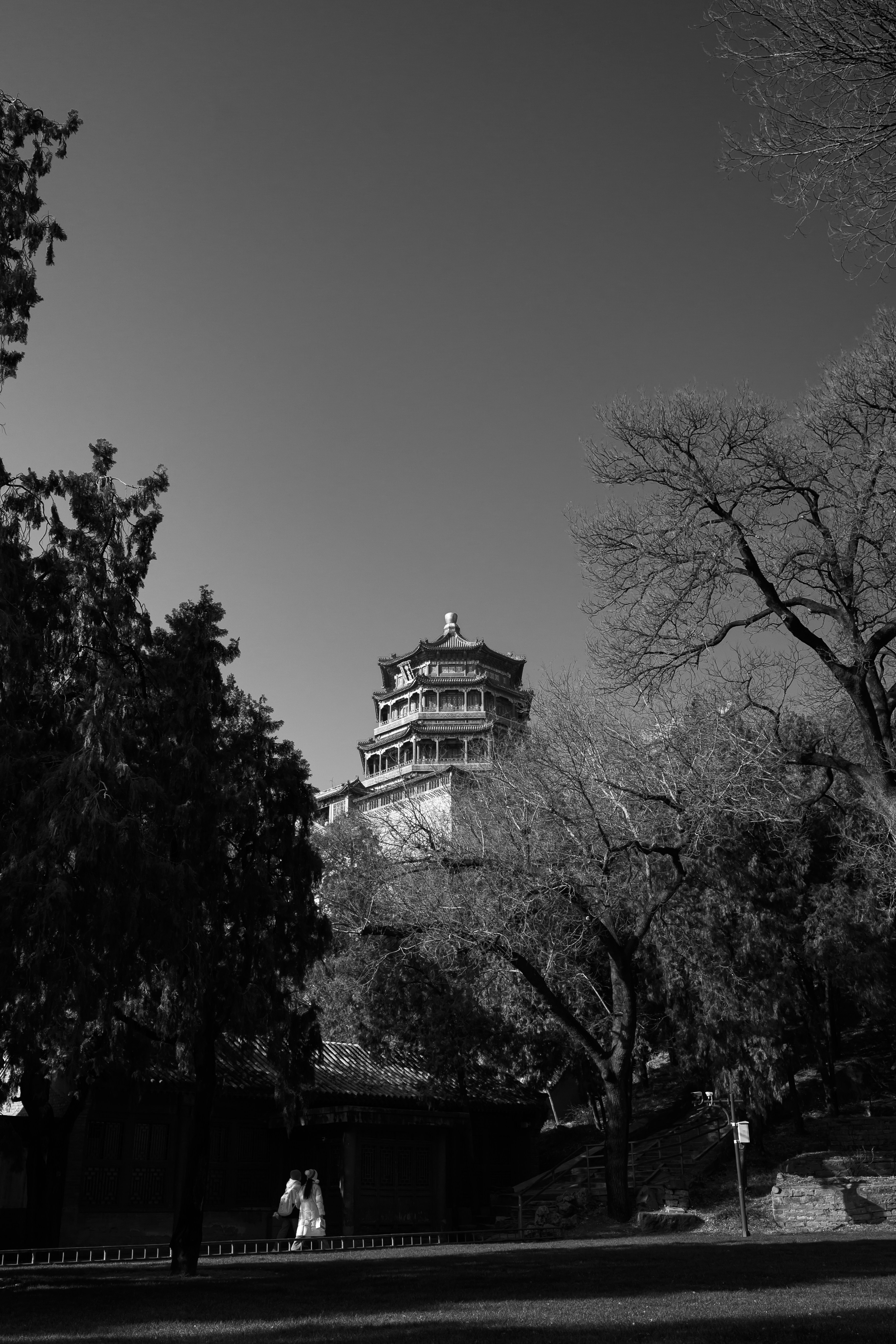 Photo by Kelsey He with Nikon Zf