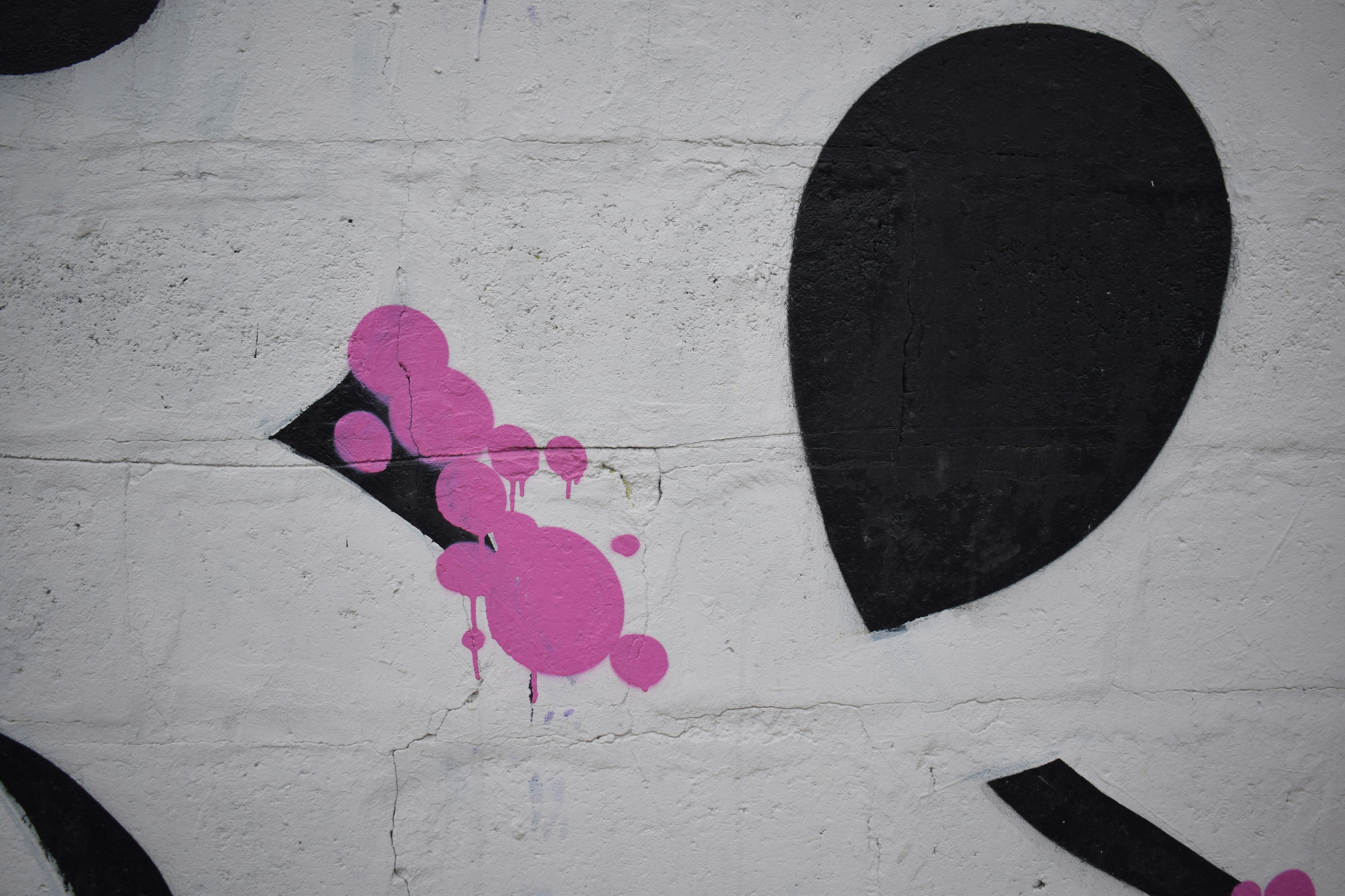 Black shapes and pink paint splatters on white wall