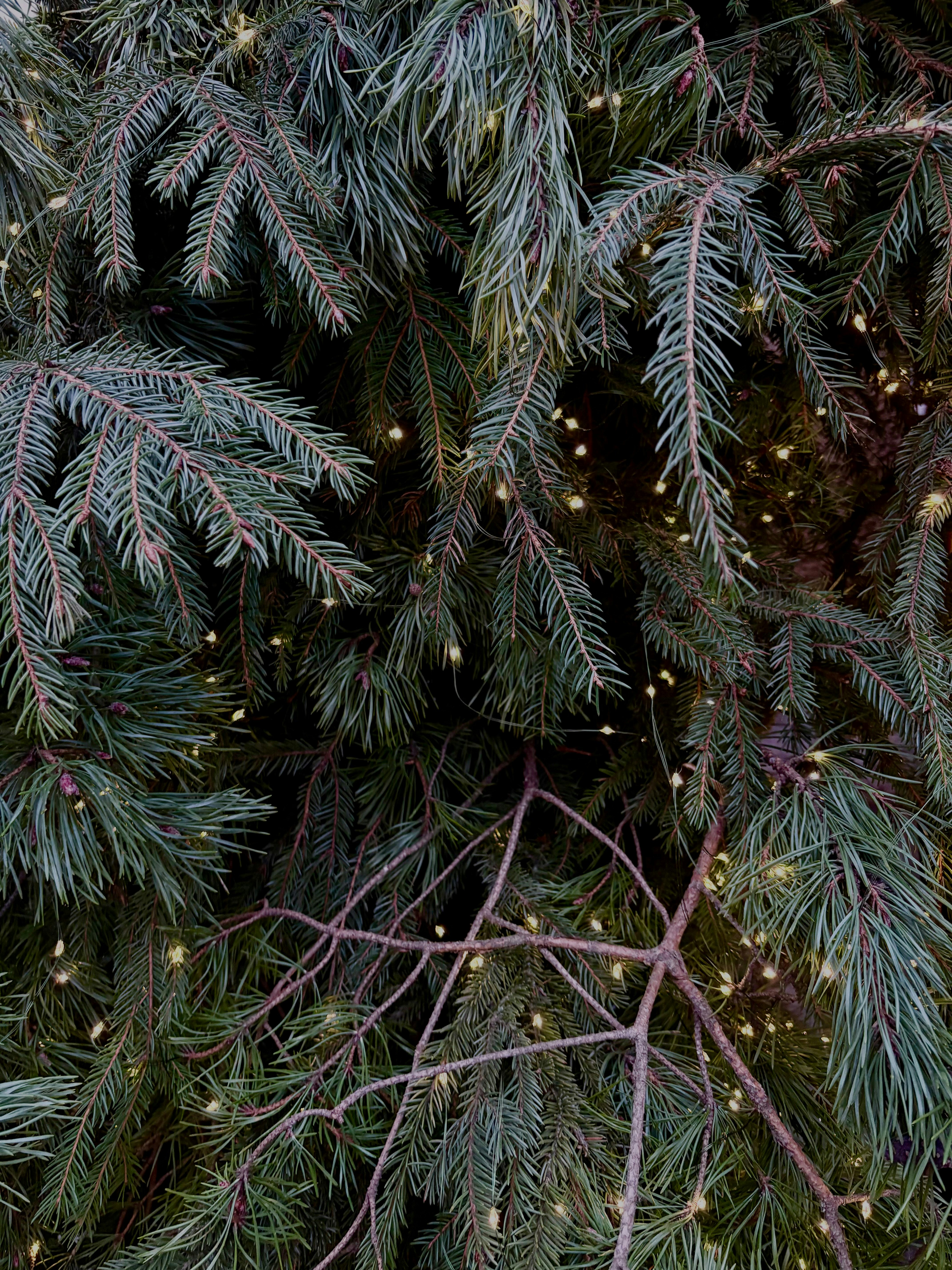 Photo by Tasha Kostyuk with Apple iPhone 16