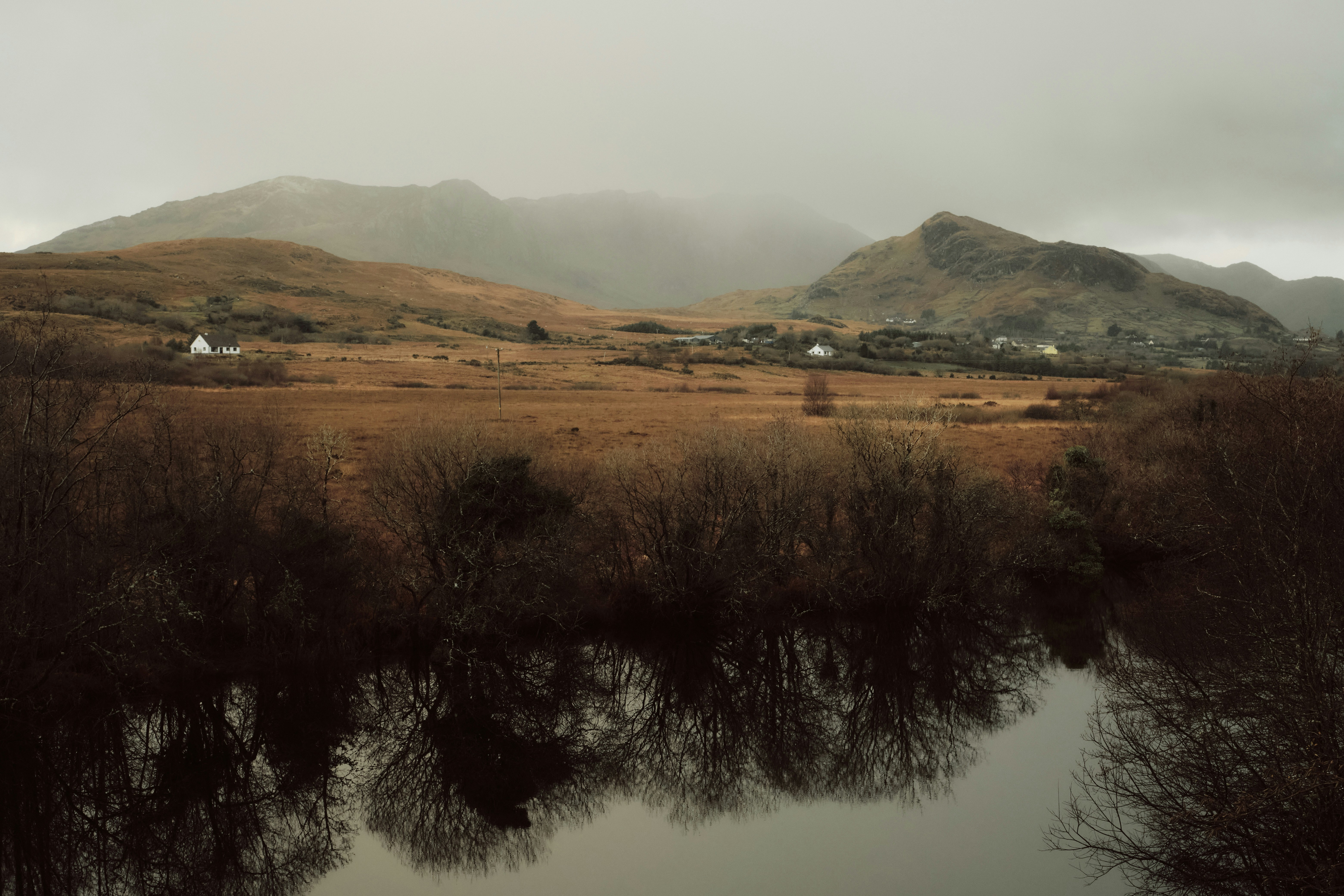 Echoes of the Highland Moor at Dusk