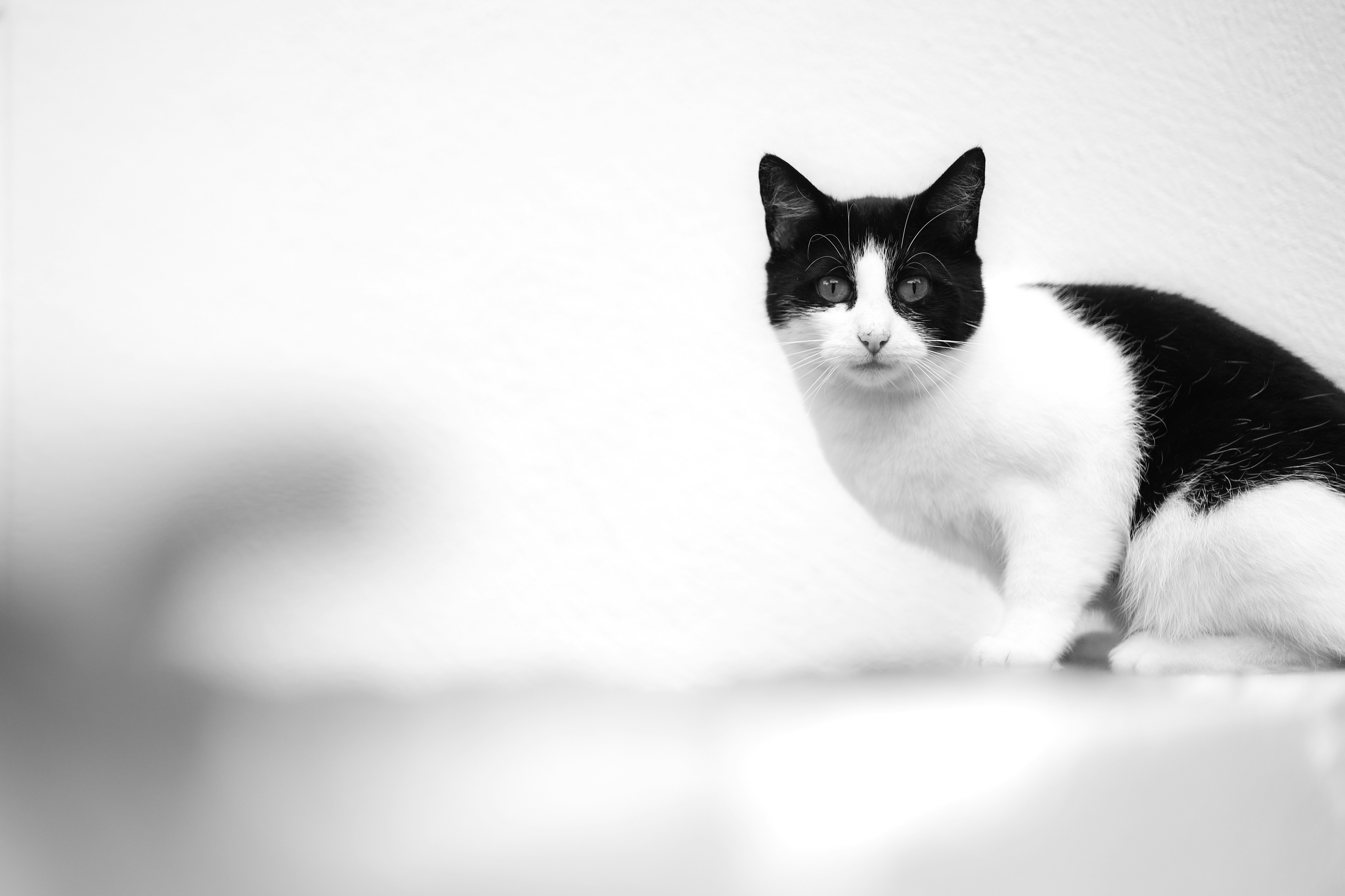 Photo by atelierbyvineeth ... with Fujifilm X-T4