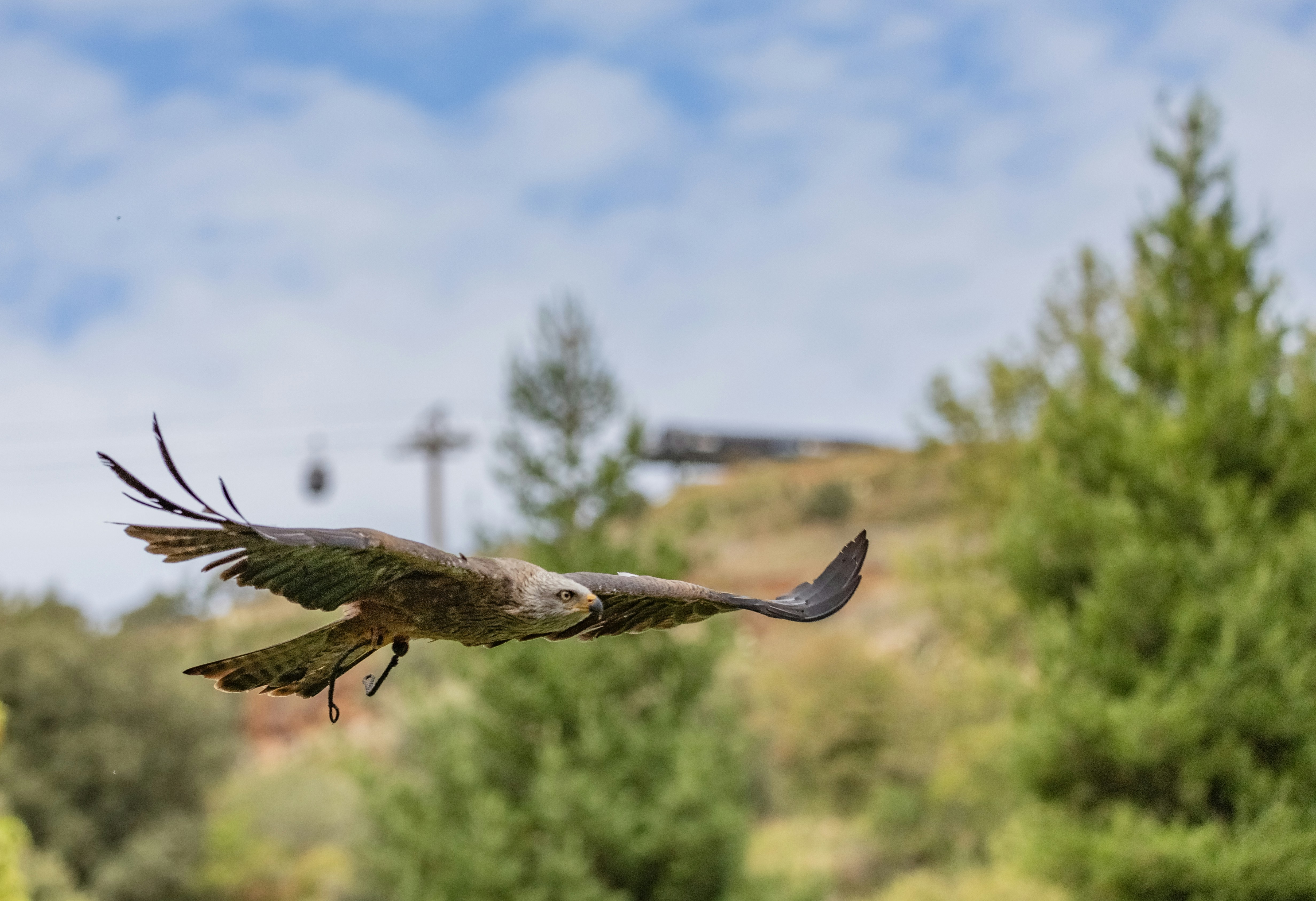 Jordi Vich Navarro (@jvich) | Unsplash 사진 커뮤니티