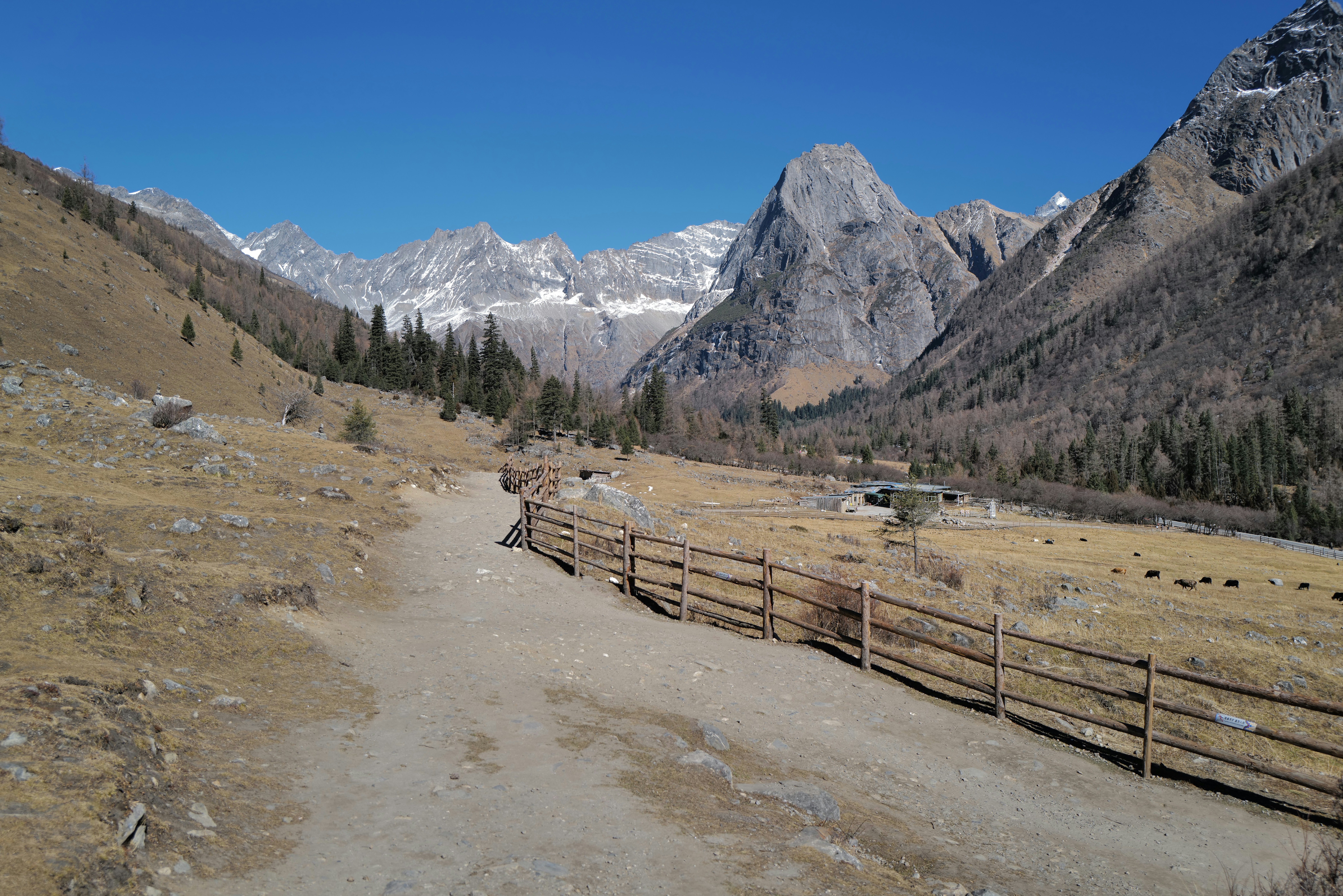 Pathway to Snow-Capped Peaks