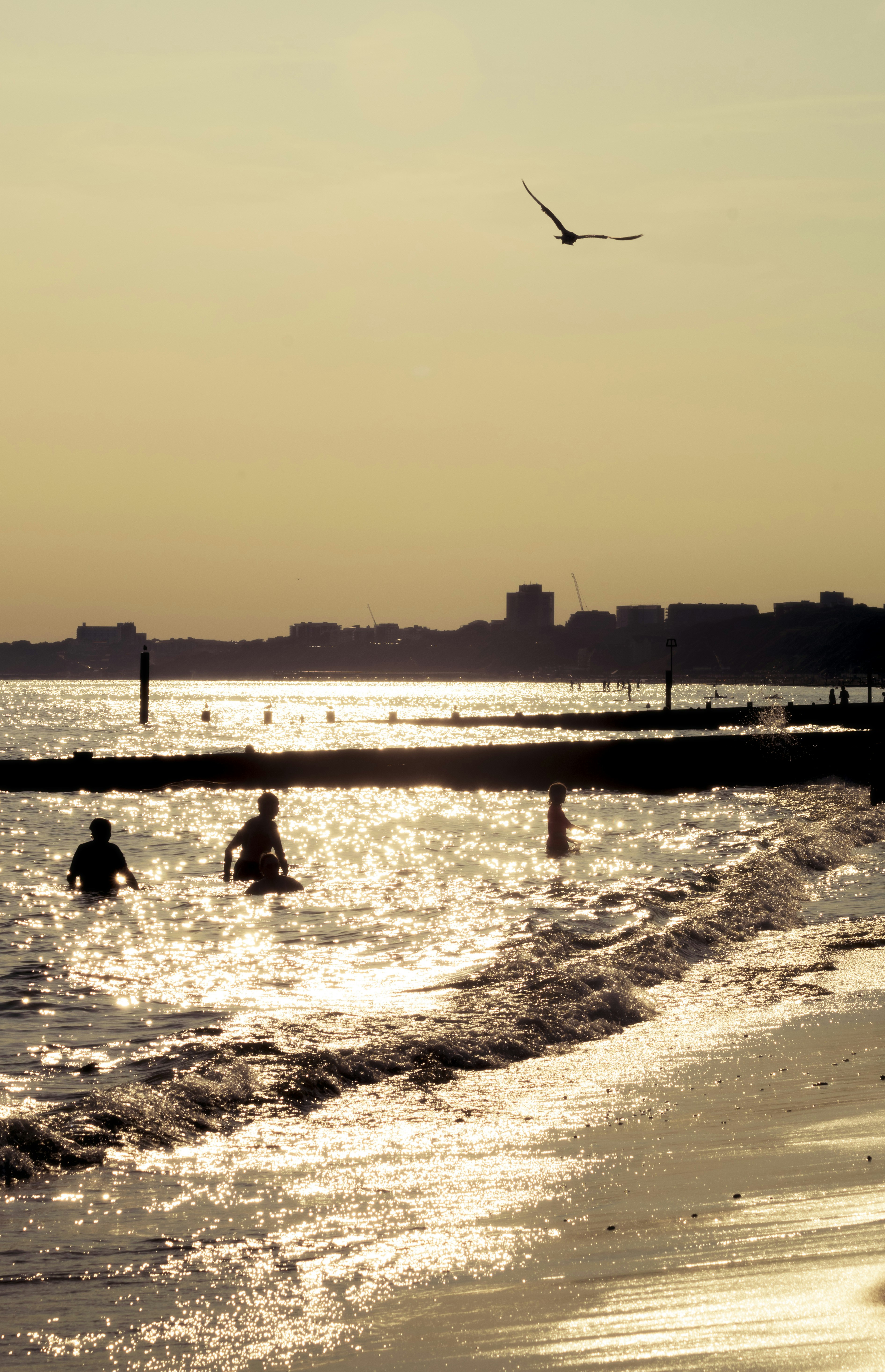 Gilded Shoreline: Sunset Silhouettes over Quiet Surf