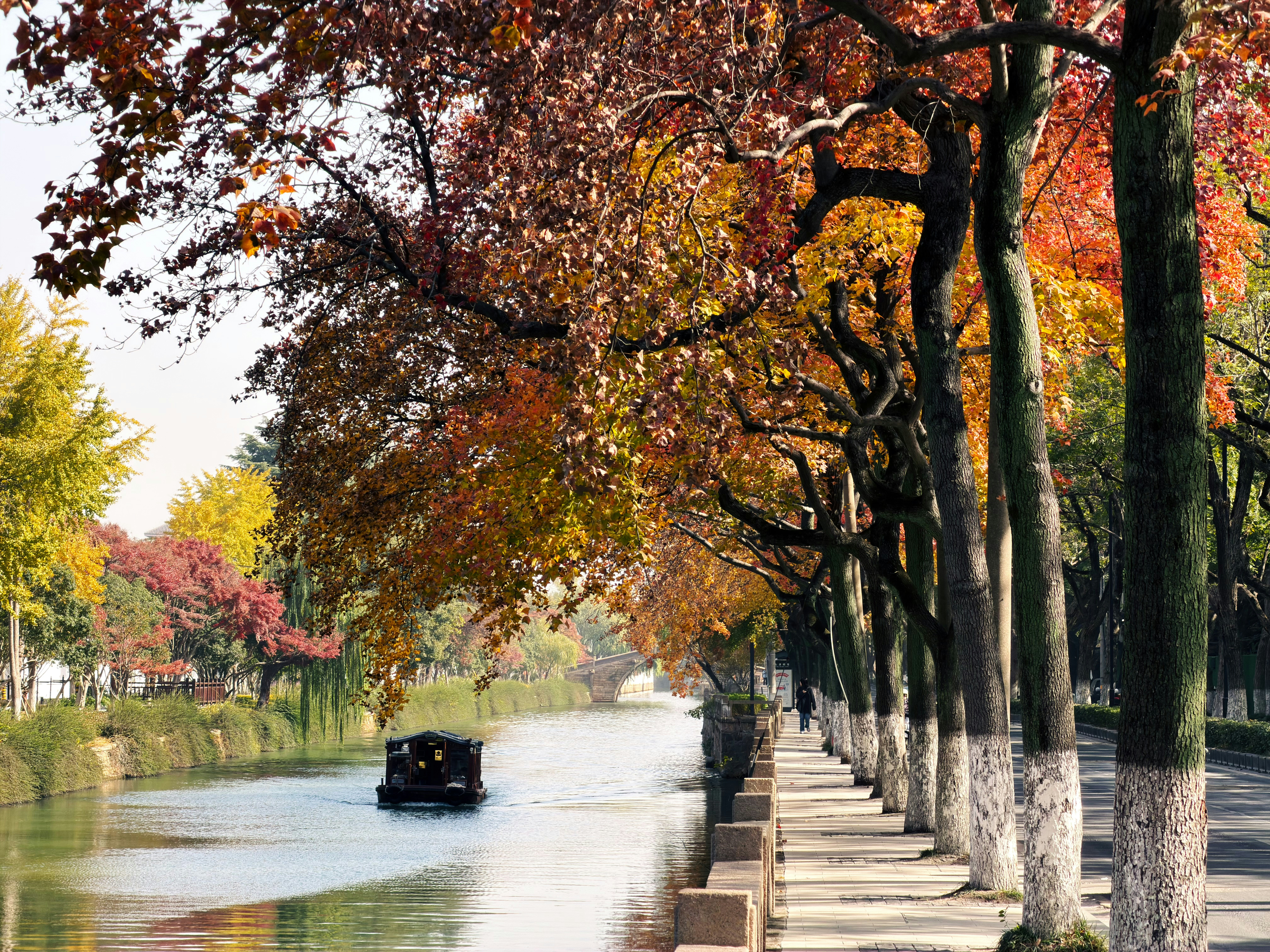 Autumn Riverside Channel: Trees Framing a Quiet Boat