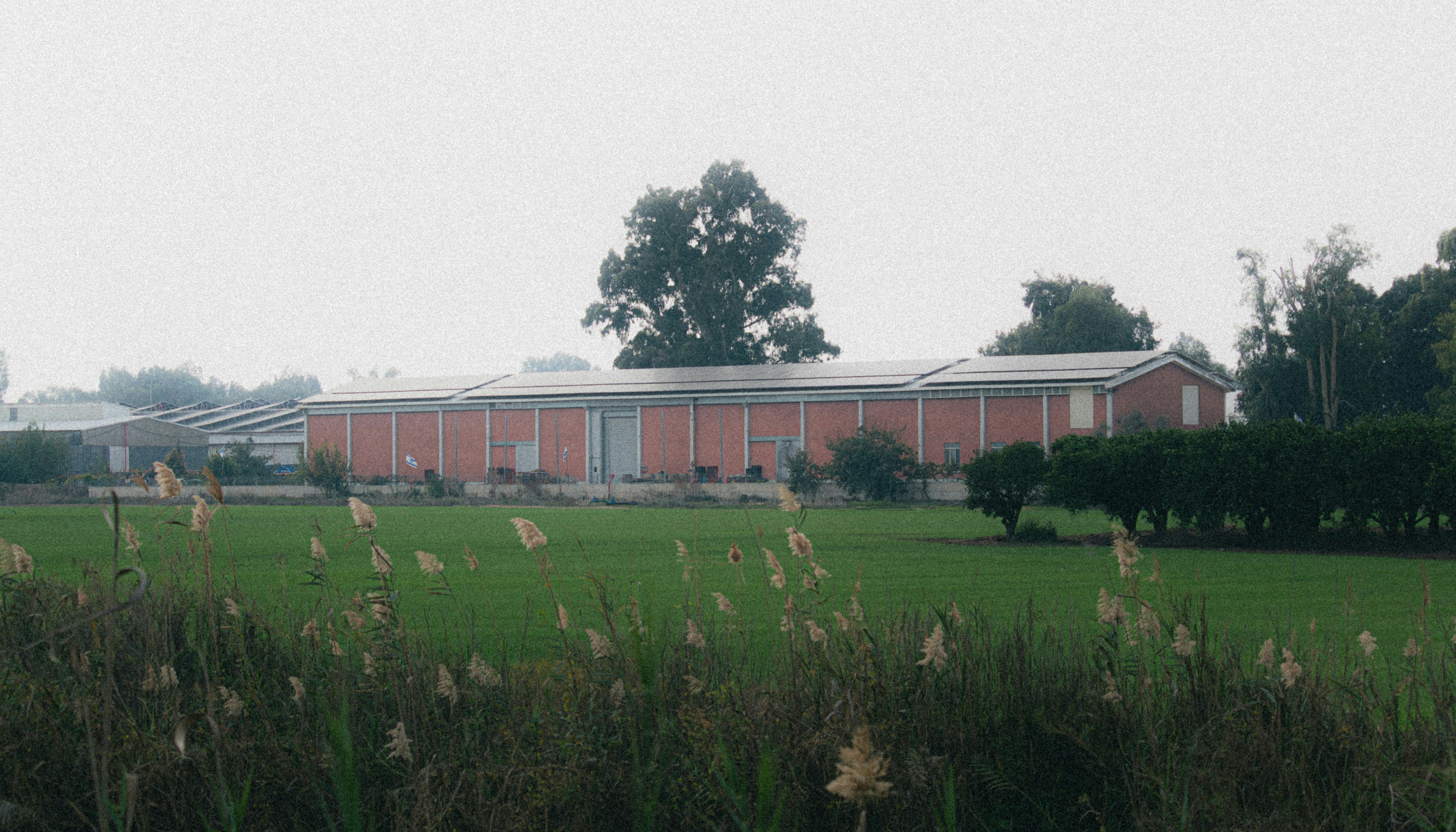 Instagram: @semi_neural