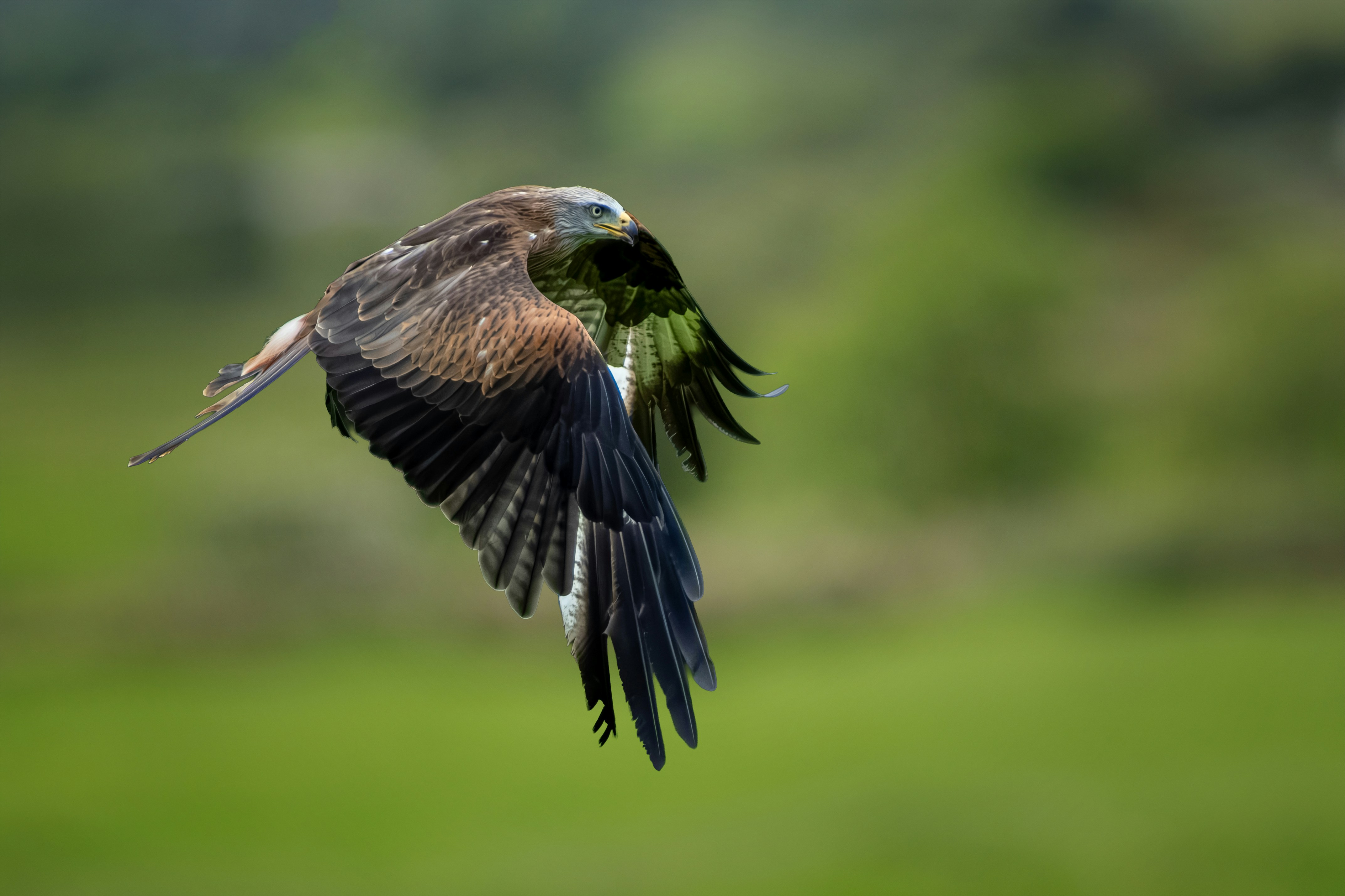 Photo by Phil Robson with Fujifilm X-H2S