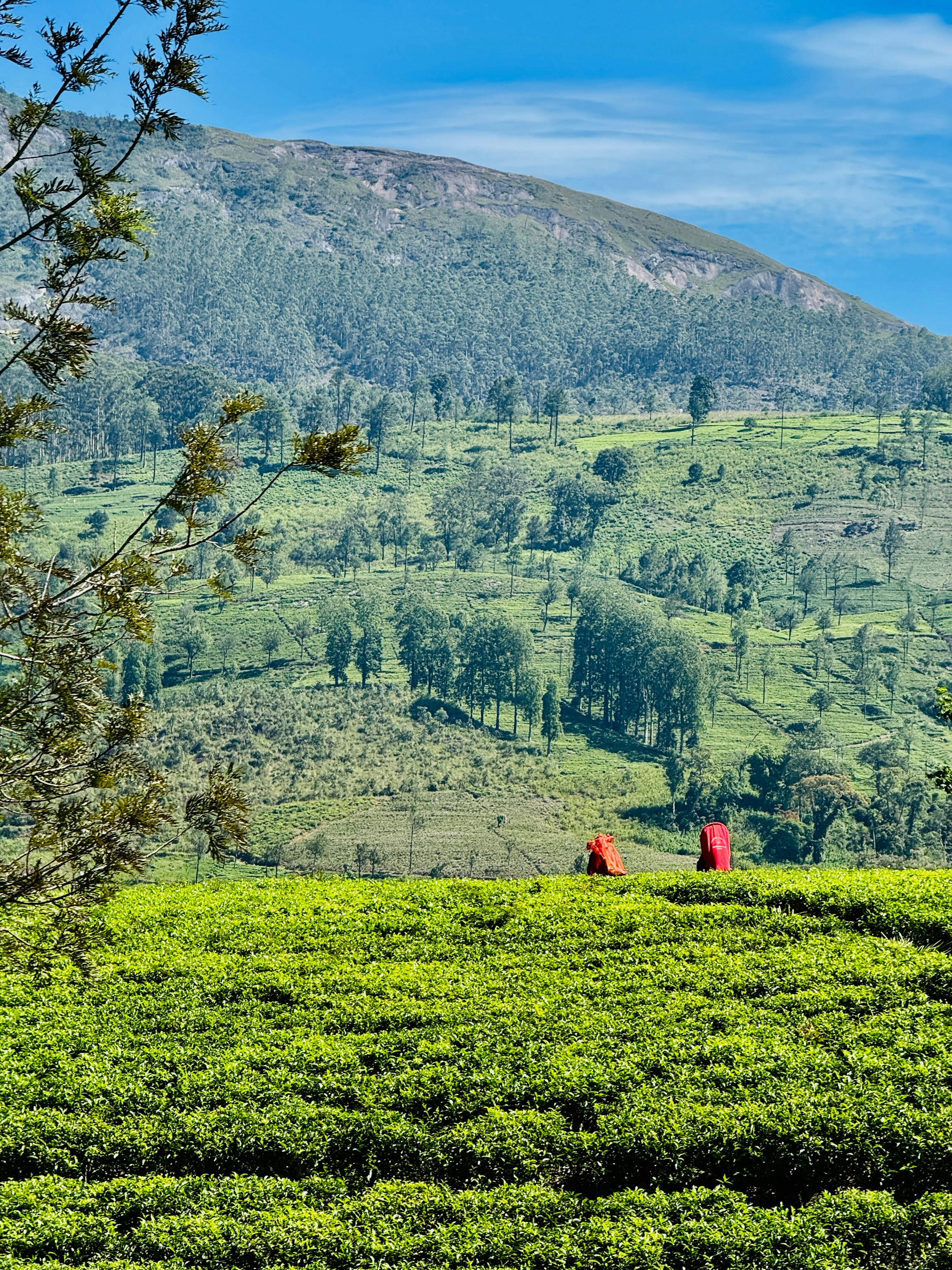 Sample photo from Apple iPhone 16 Pro