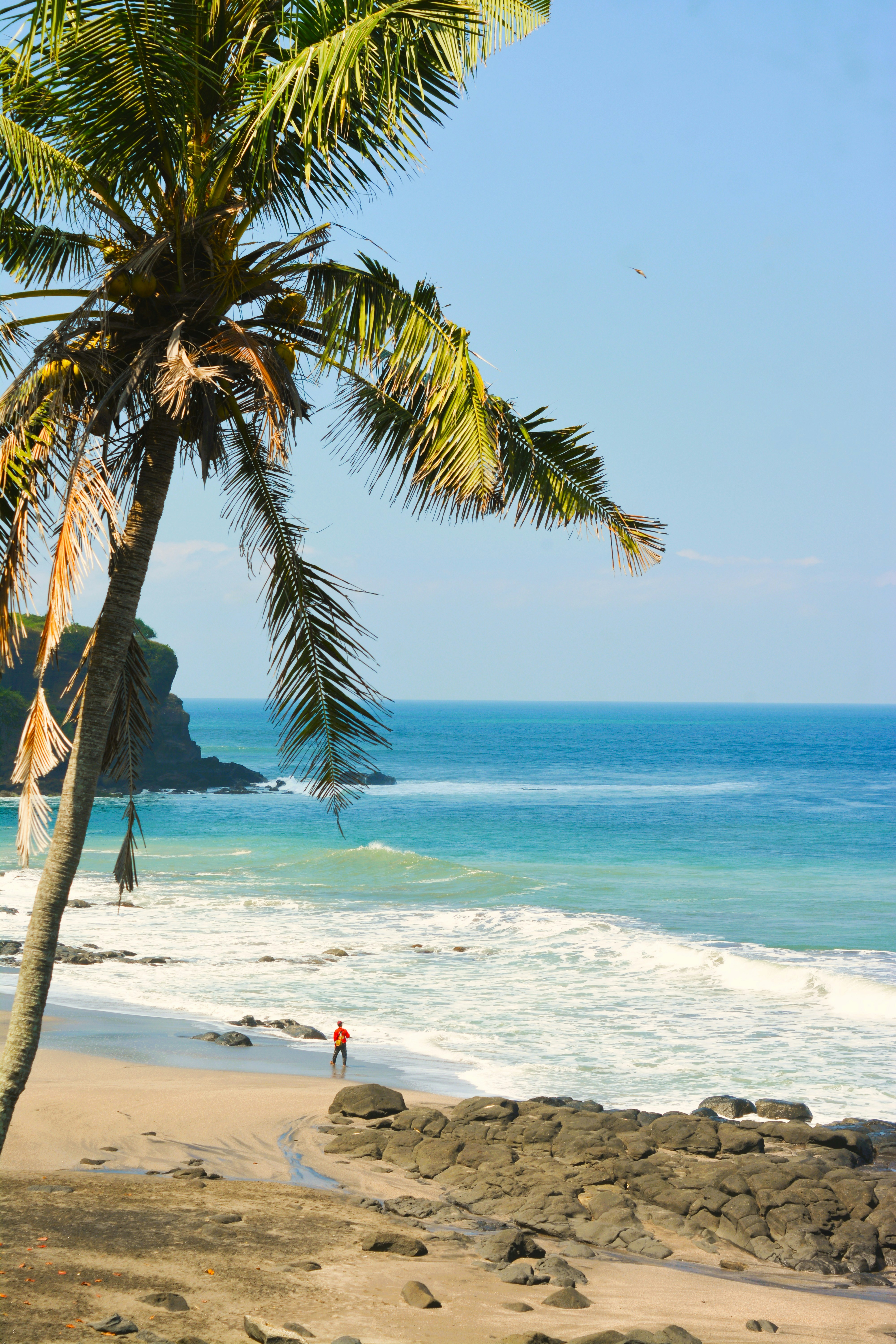 Palm-fringed shoreline under a bright sky with a lone beachgoer