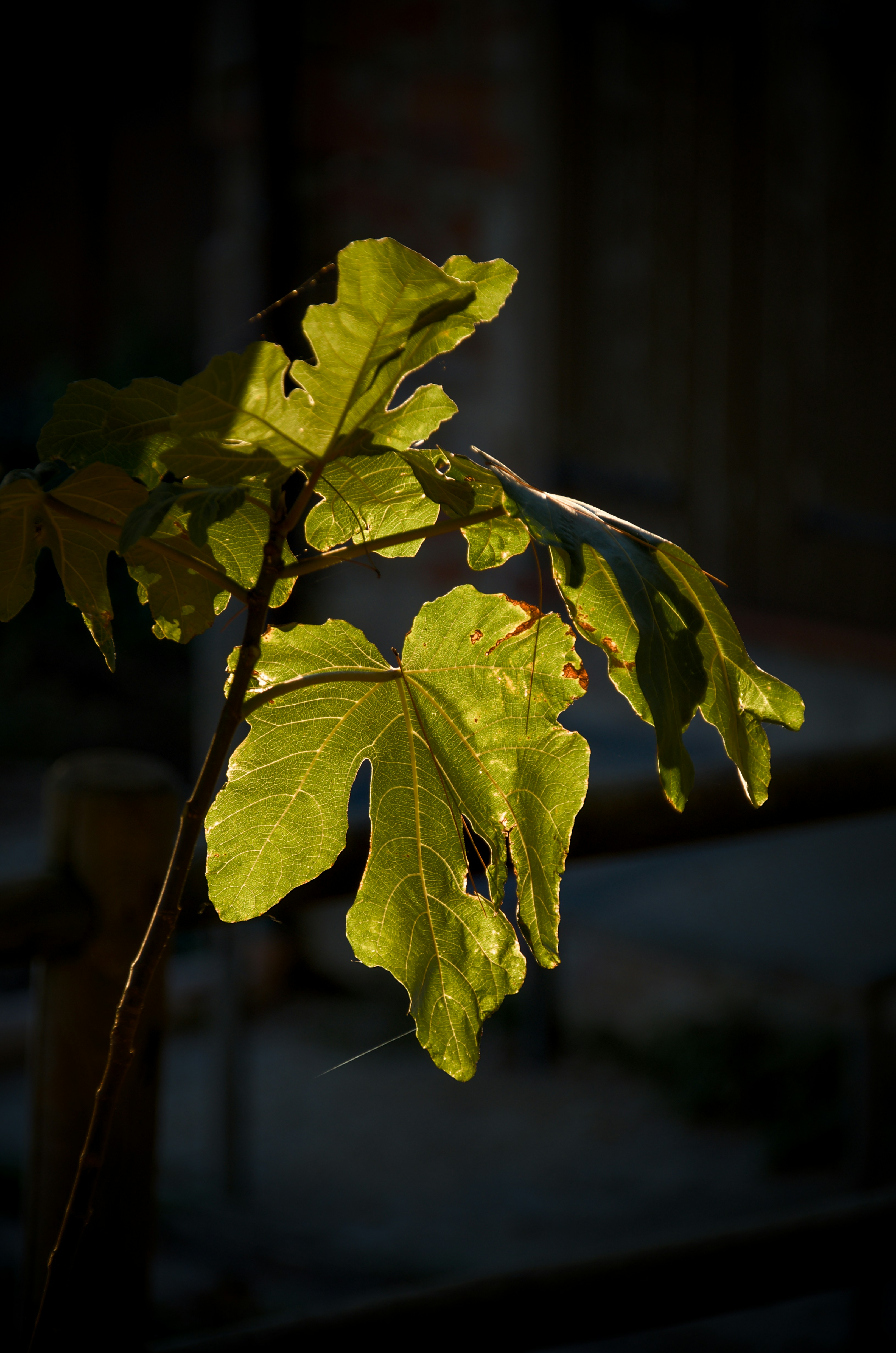 Photo by Mario Beducci with Nikon D7000