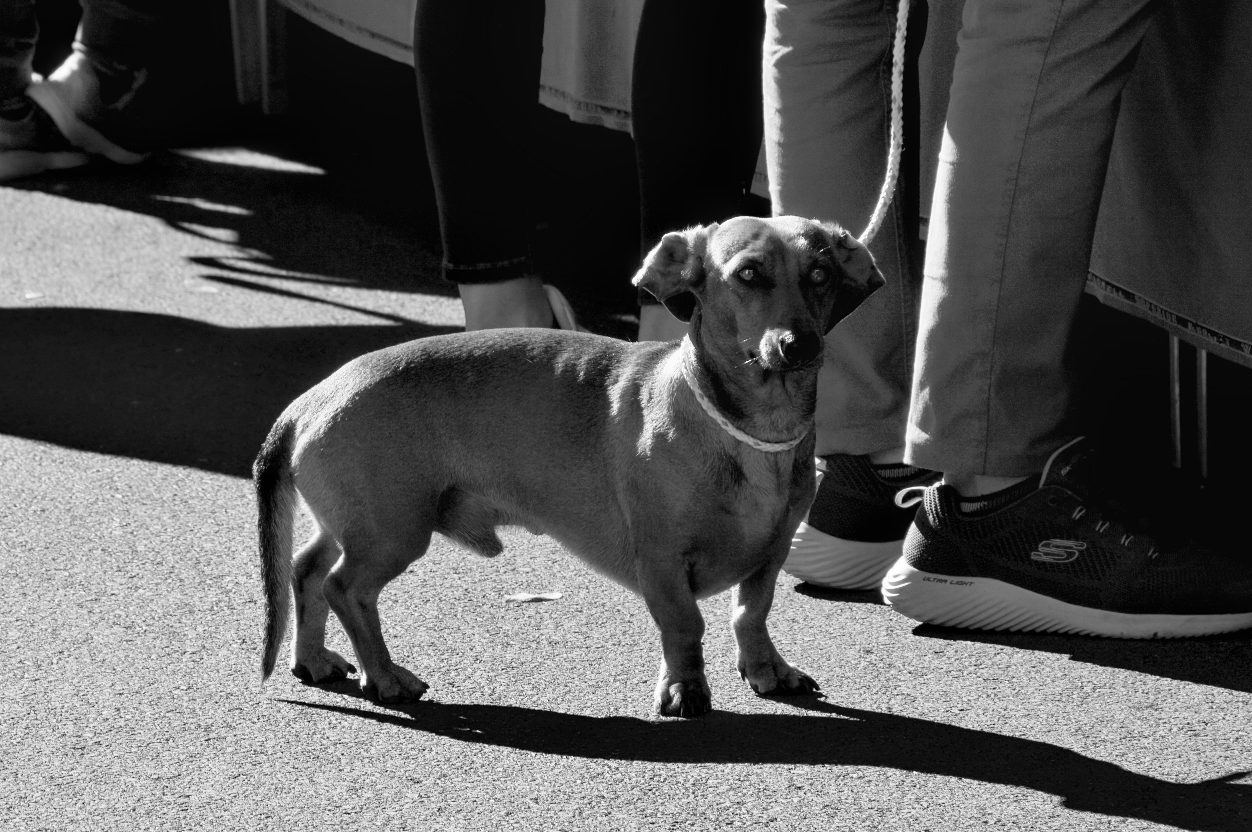 Photo by Mario Beducci with Nikon D3200