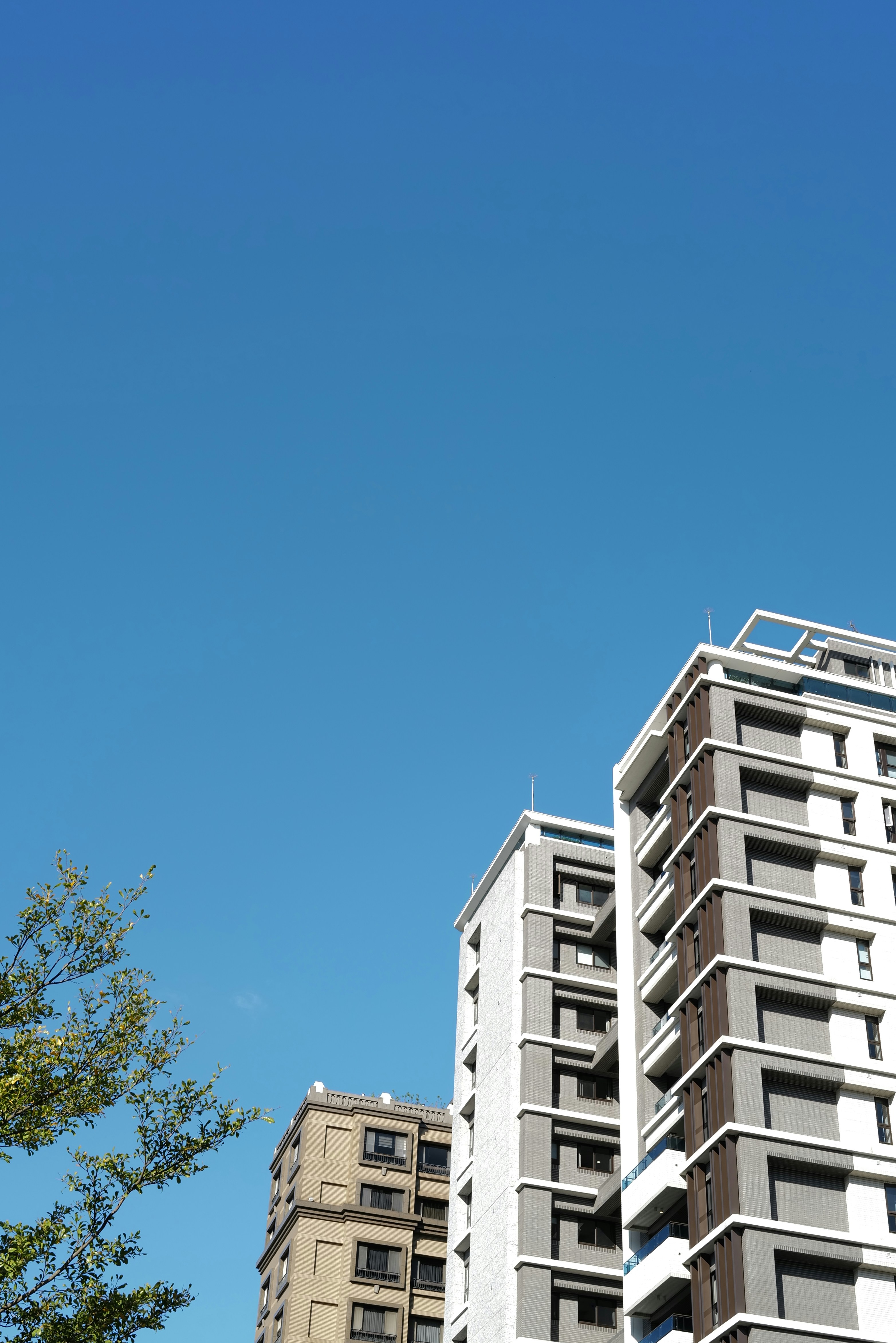 Photo by Chuang XY with Leica Q2