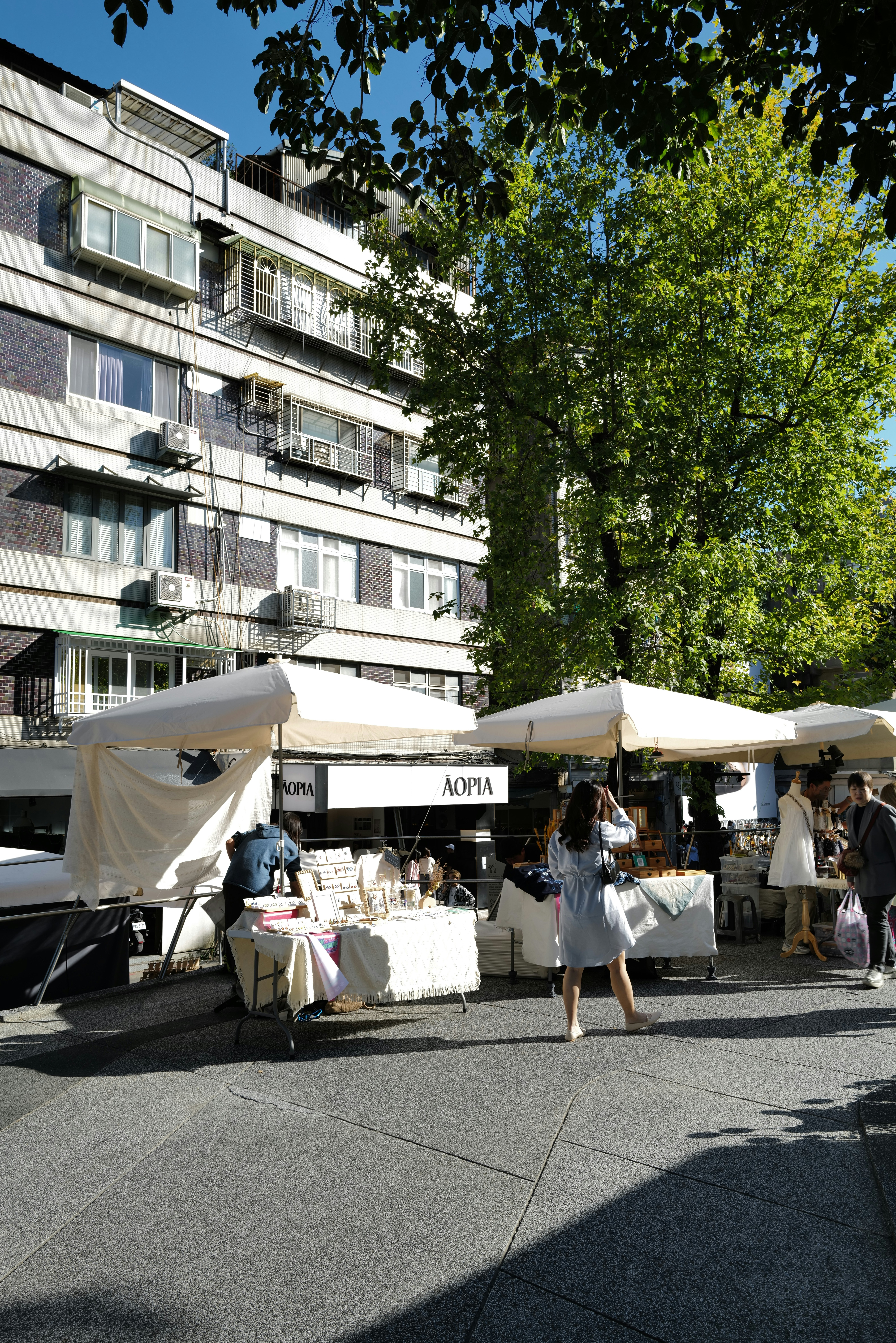 Sunlit Market Day Under a Canopy of Green