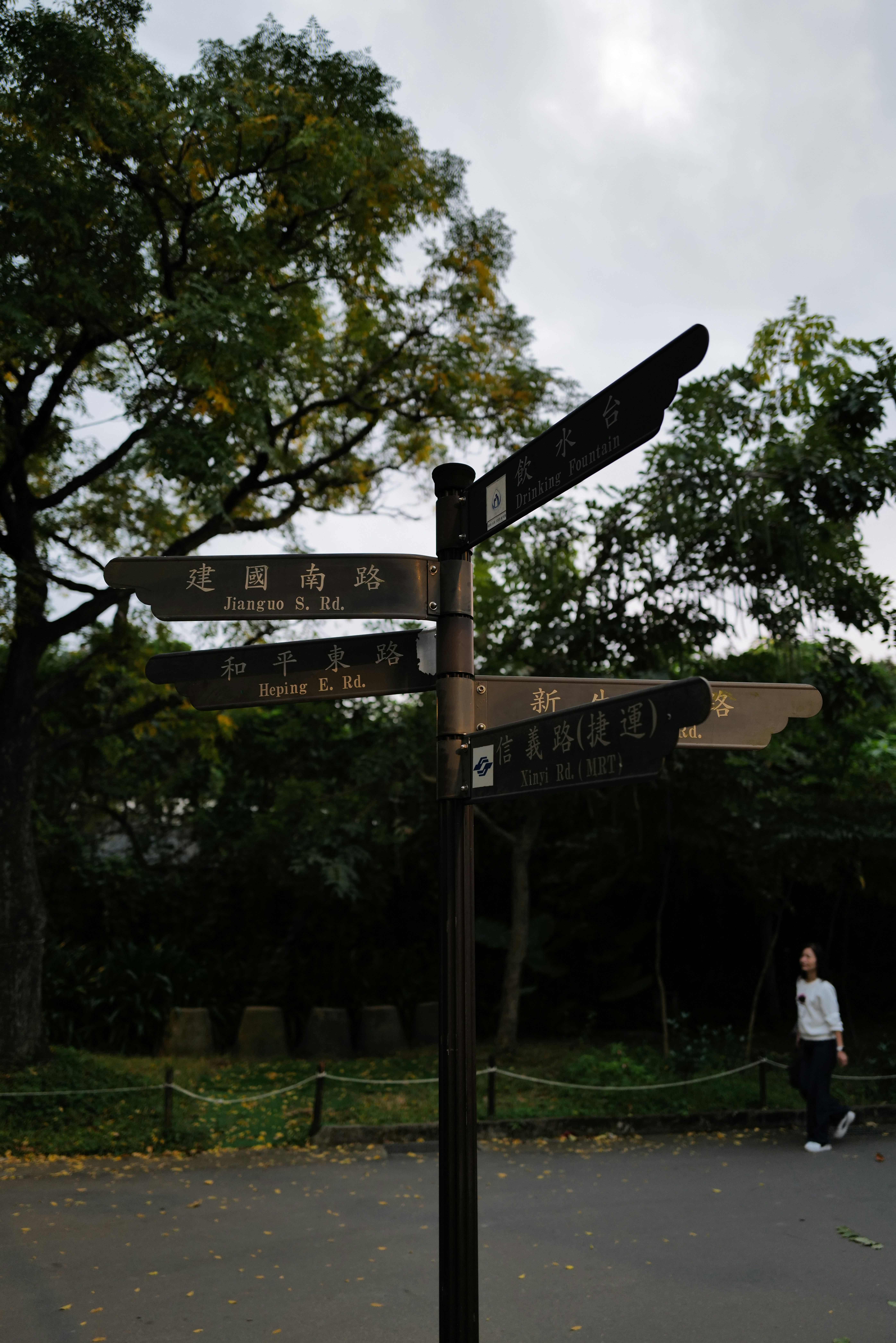 Signpost Meadow: A Tangle of Paths Beneath Autumn Trees