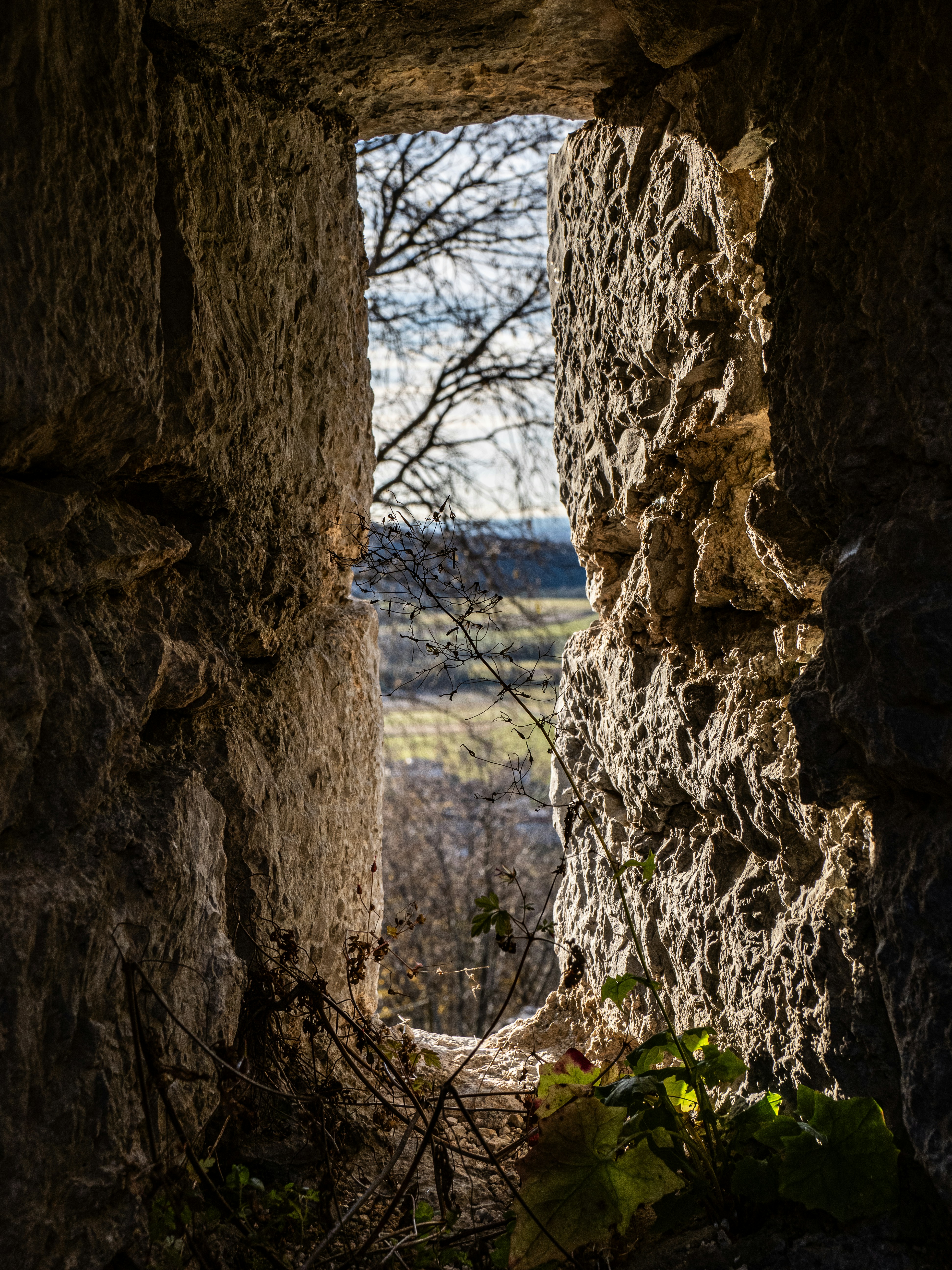 Photo by Diego Romeo with OM System OM-1