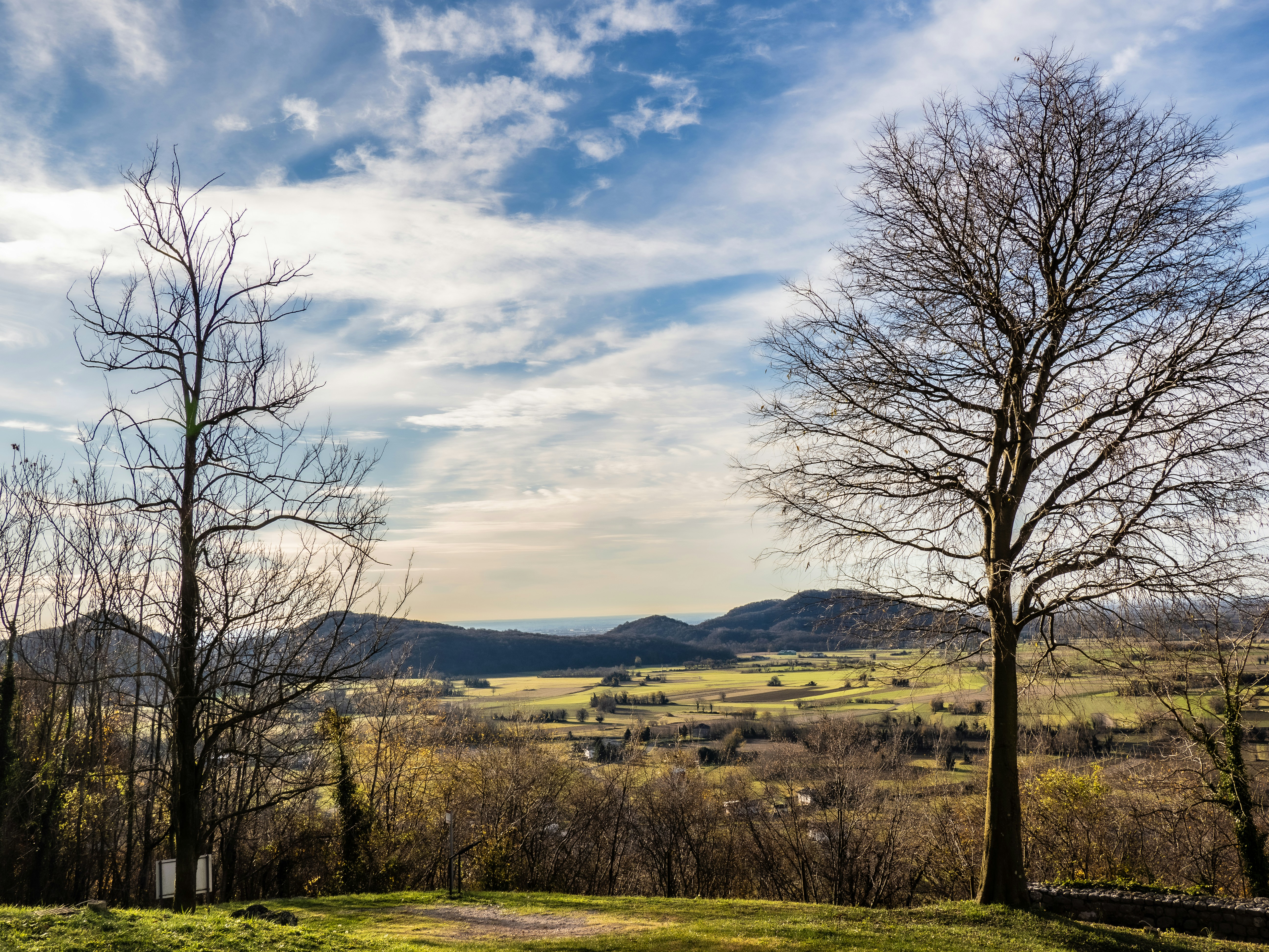 Photo by Diego Romeo with OM System OM-1