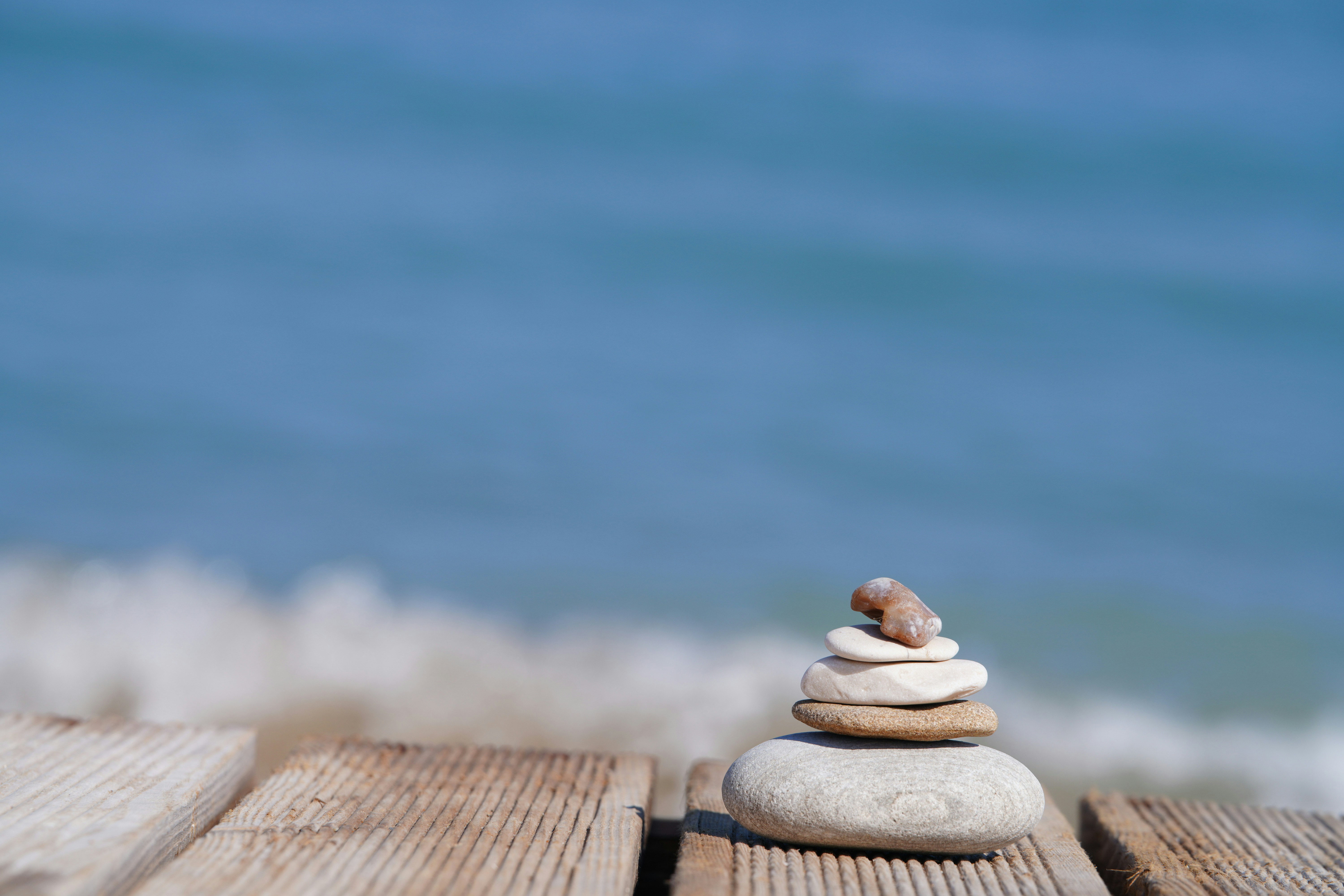 Photo by Tadeusz Zachwieja with Sony Alpha 7R V