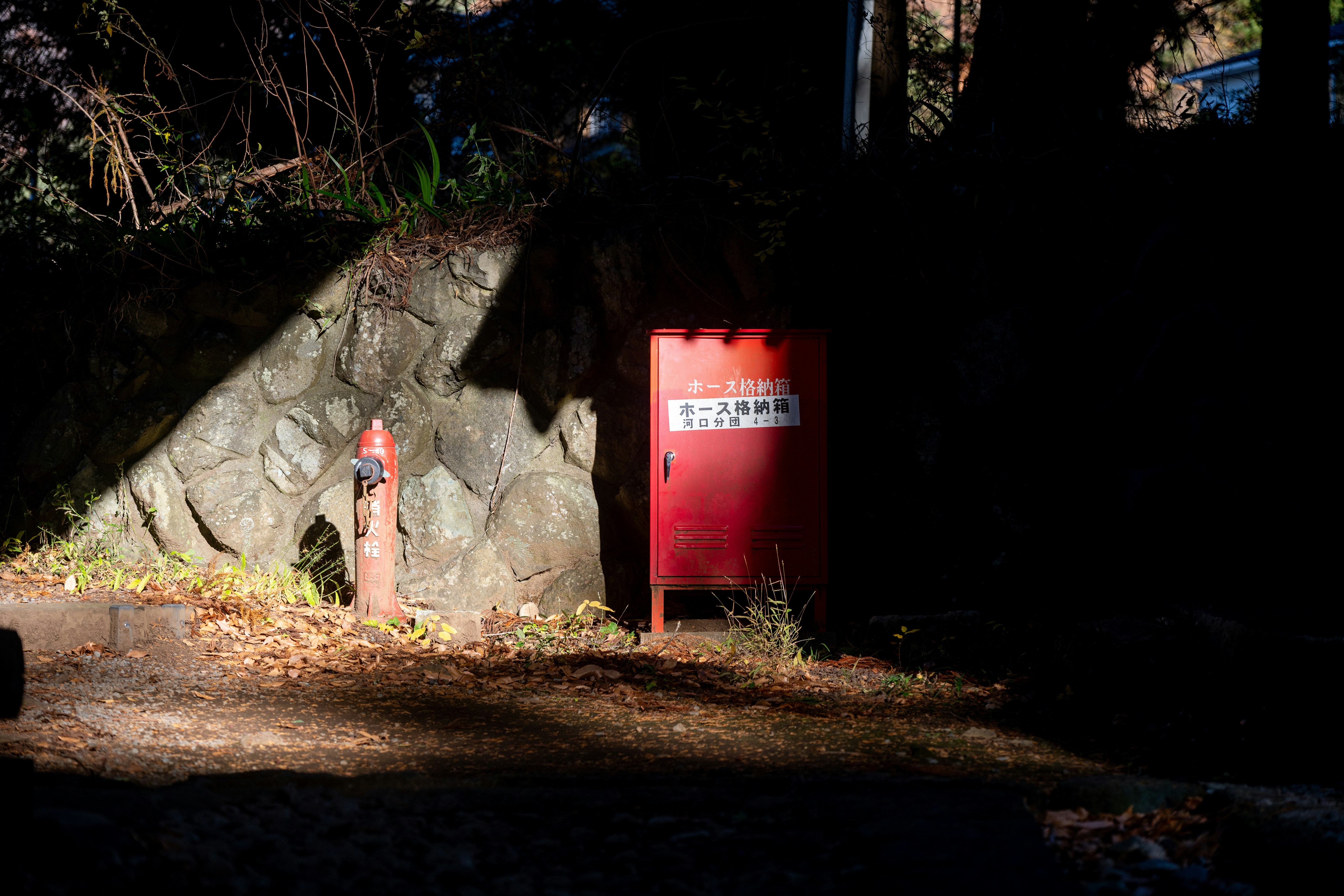 Photo by Turquo Cabbit with Nikon Z6 III