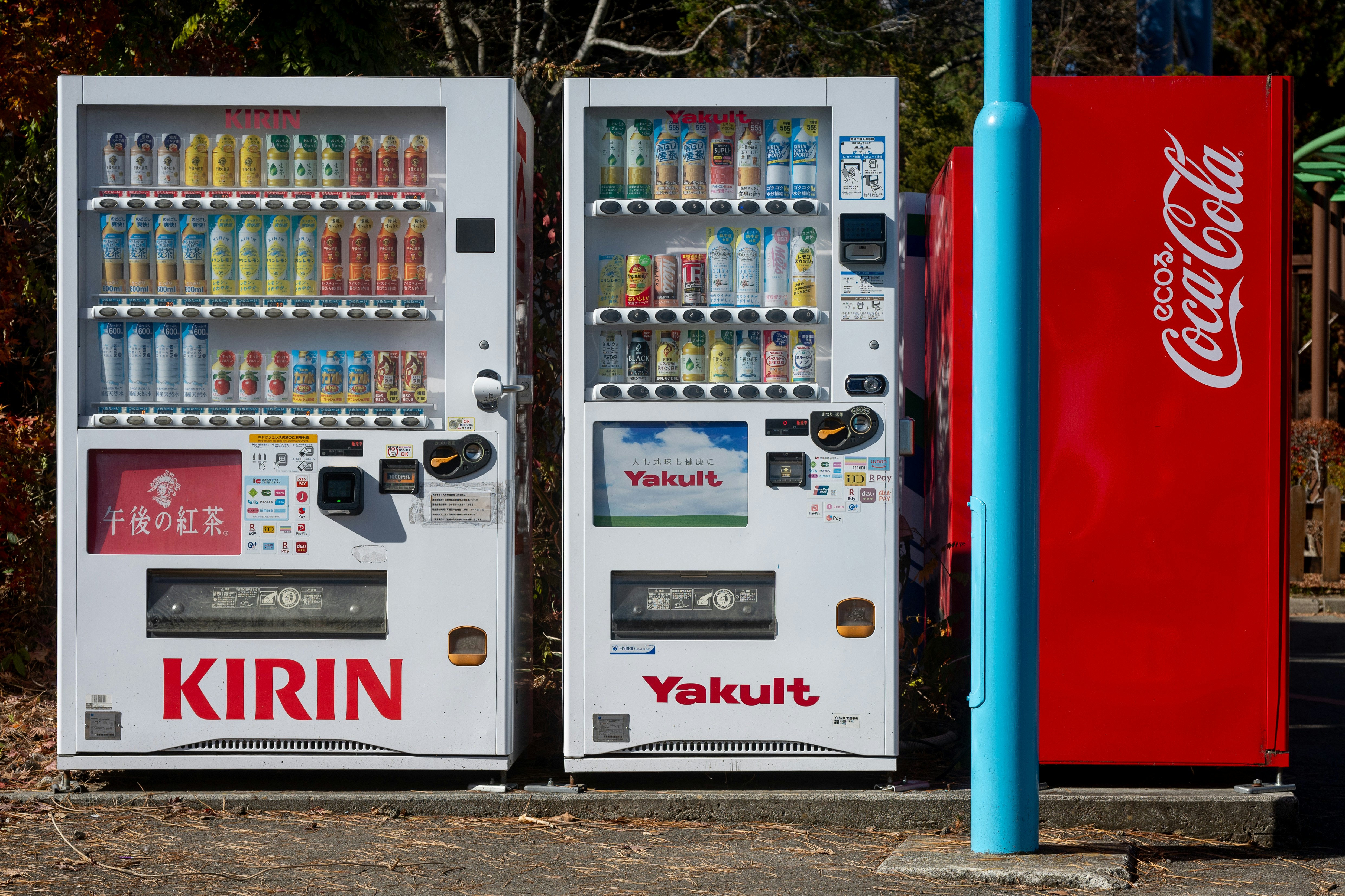 Photo by Turquo Cabbit with Nikon Z6 III