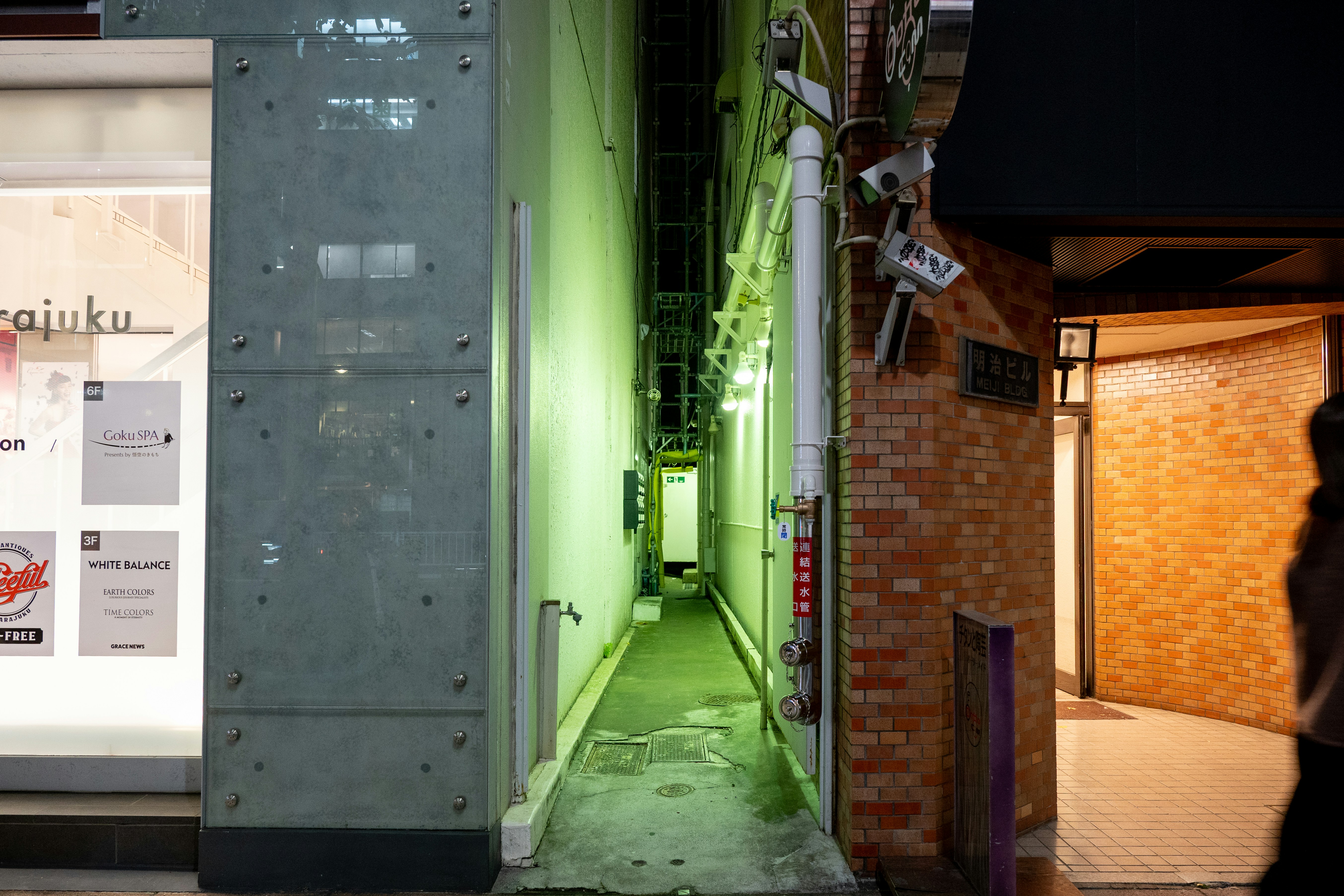 Neon Alleyway Between Buildings: A Quiet Green Corridor Framed by Brick and Steel