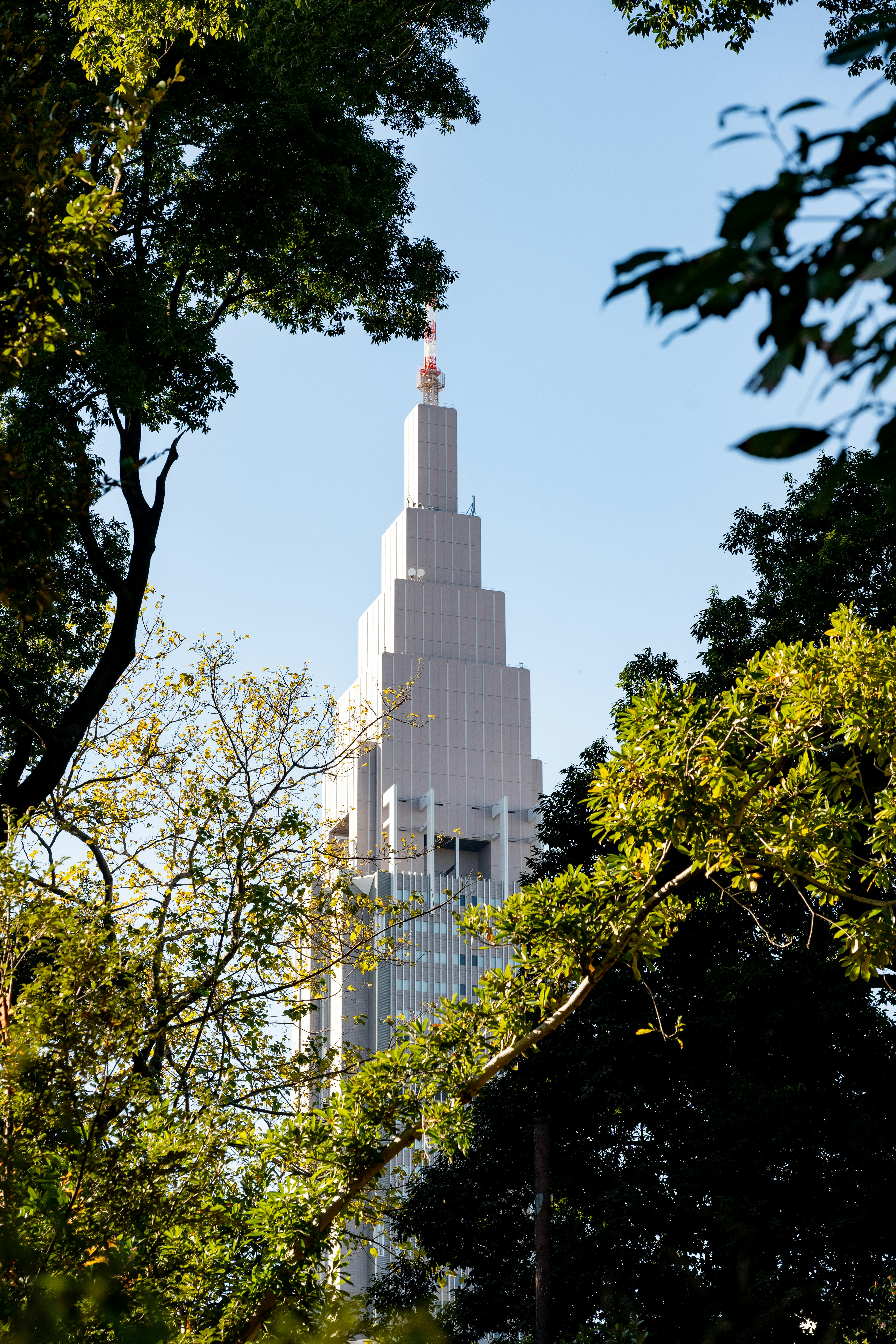 Skyward Step: A Tower Rises Through a Framed Canopy
