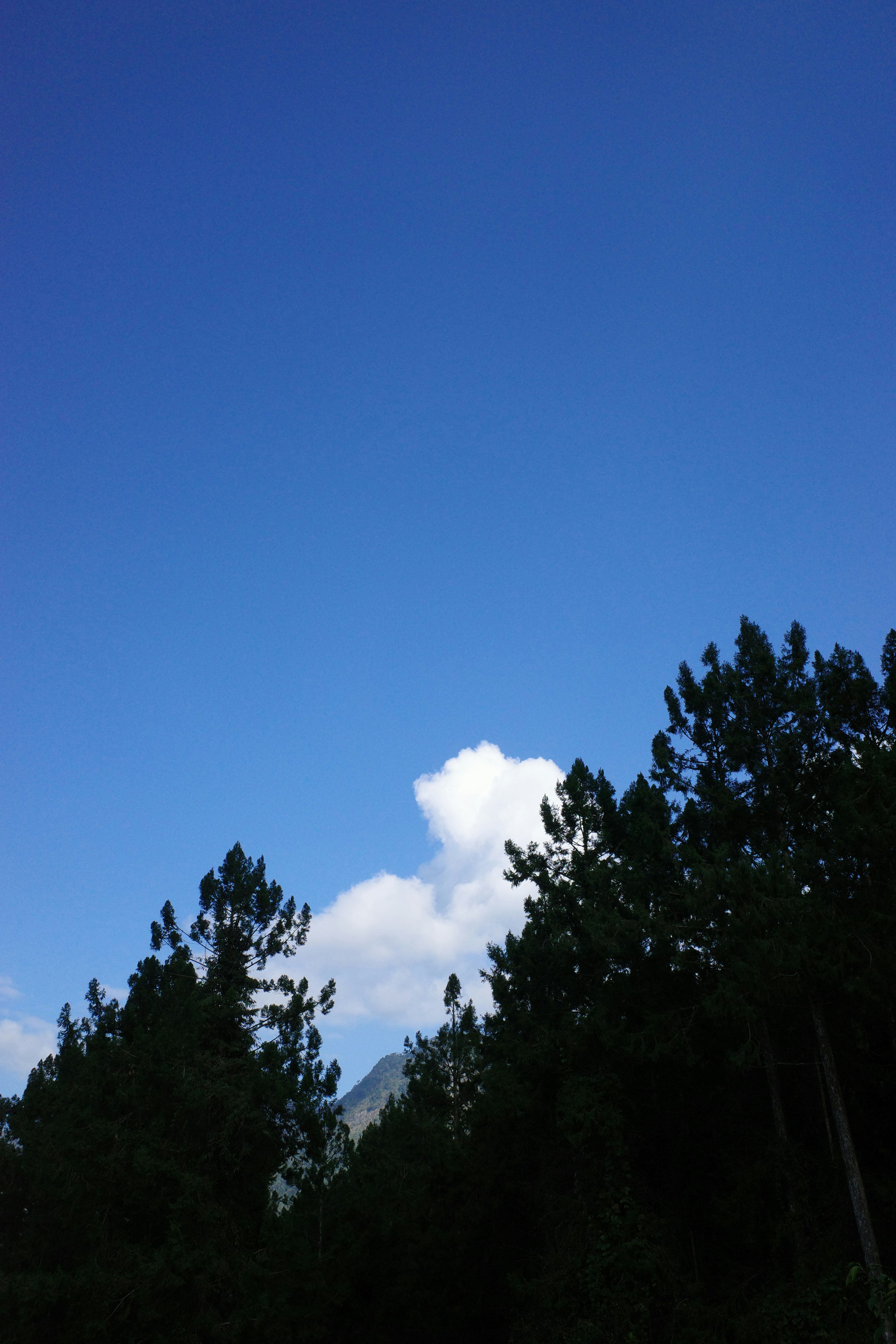 Photo by Joey Han with Ricoh GR III