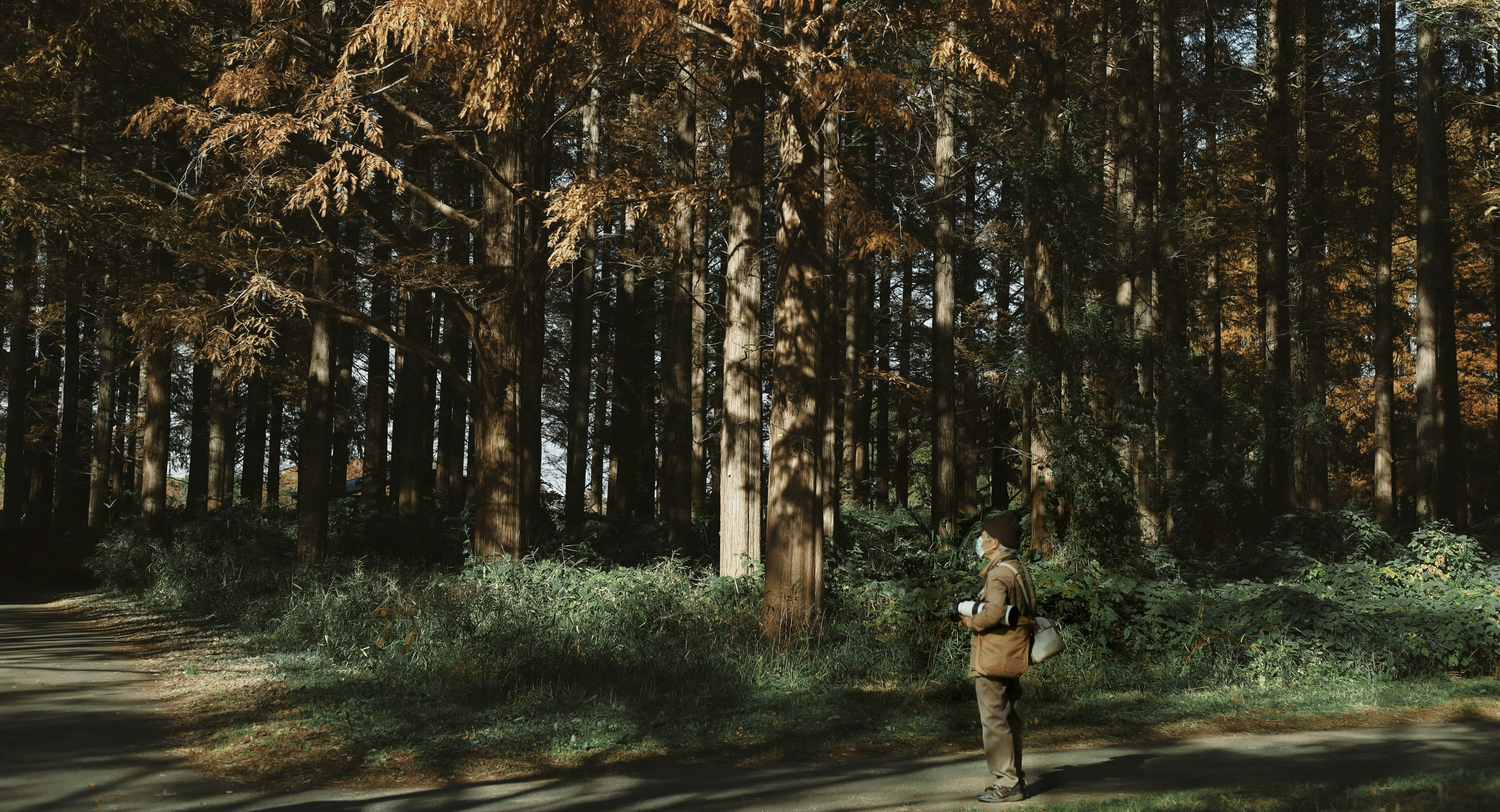 Photo by Điệp Zader with Canon EOS RP