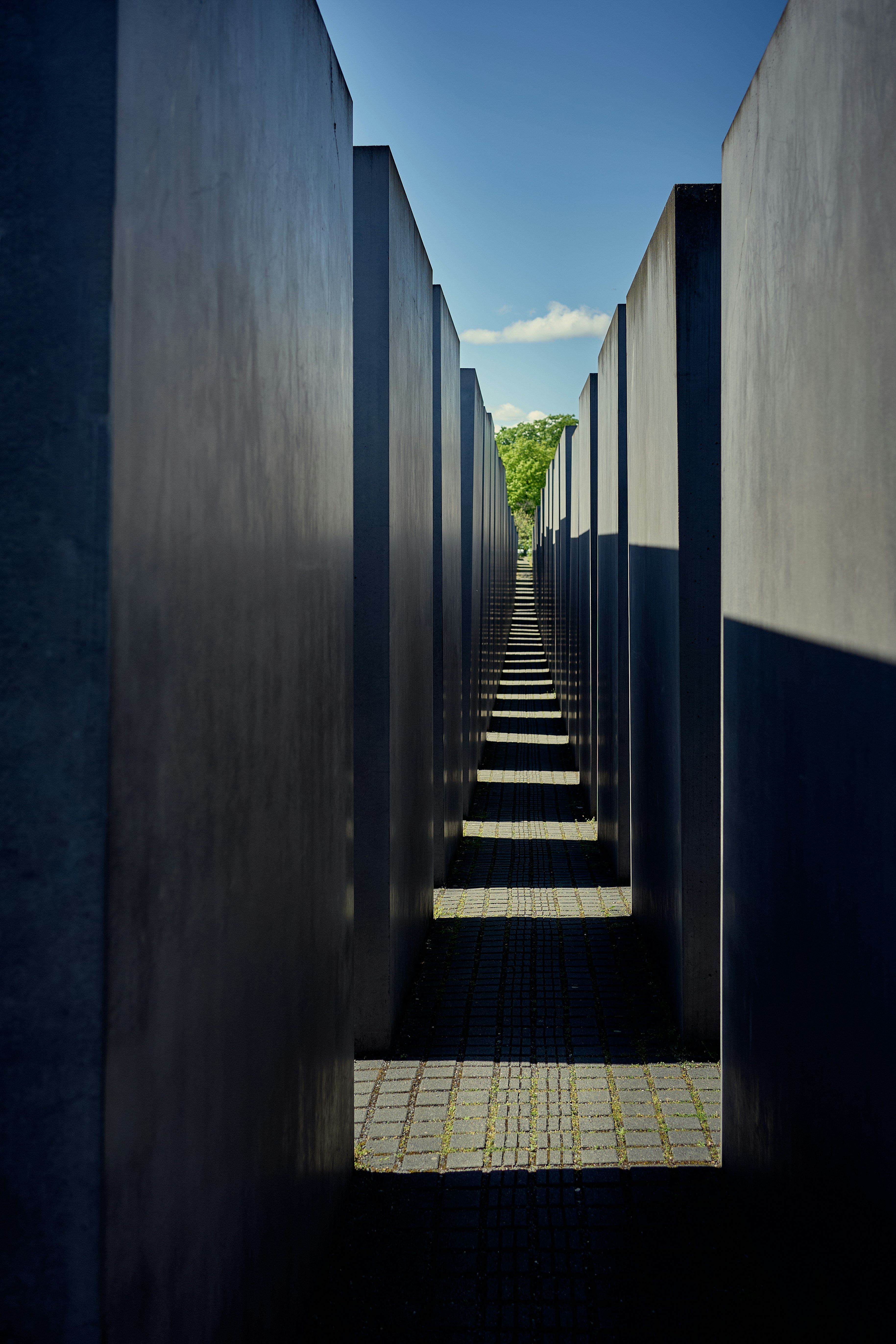 Photo by Jakub Tomasik with Sony Alpha 7 II