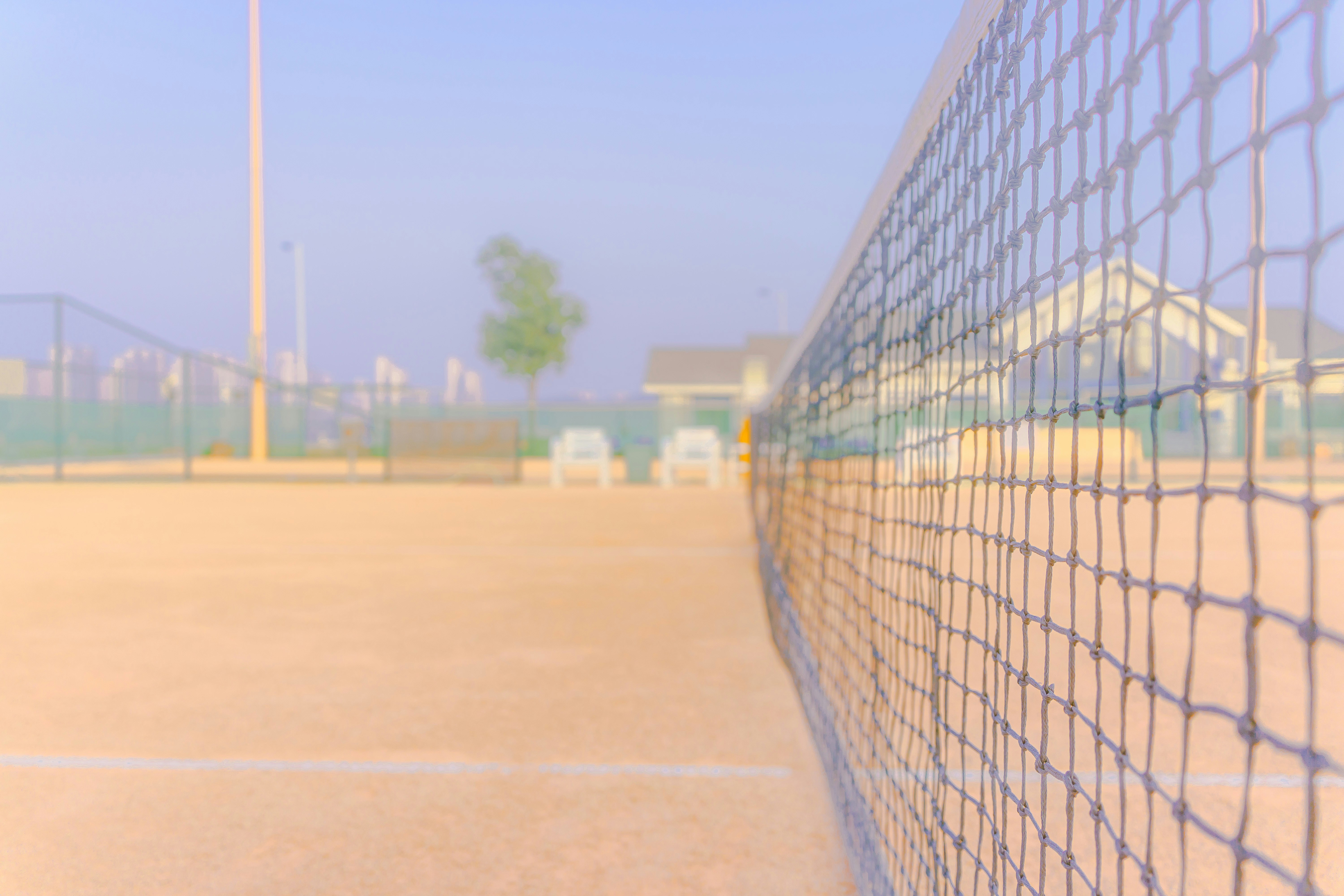 Photo by Patrick Shaun with Sony Alpha 7C