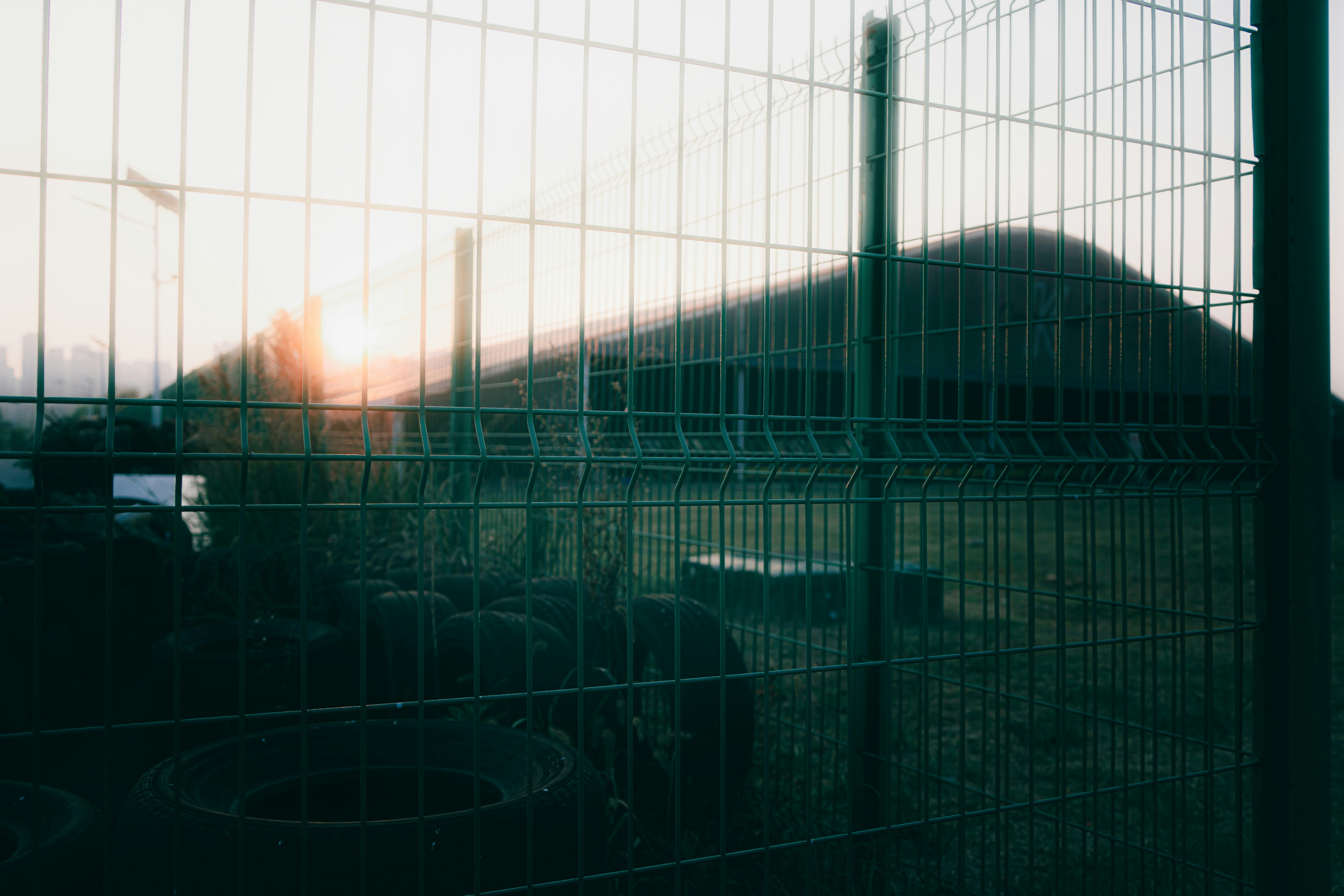 Photo by Patrick Shaun with Sony Alpha 7C