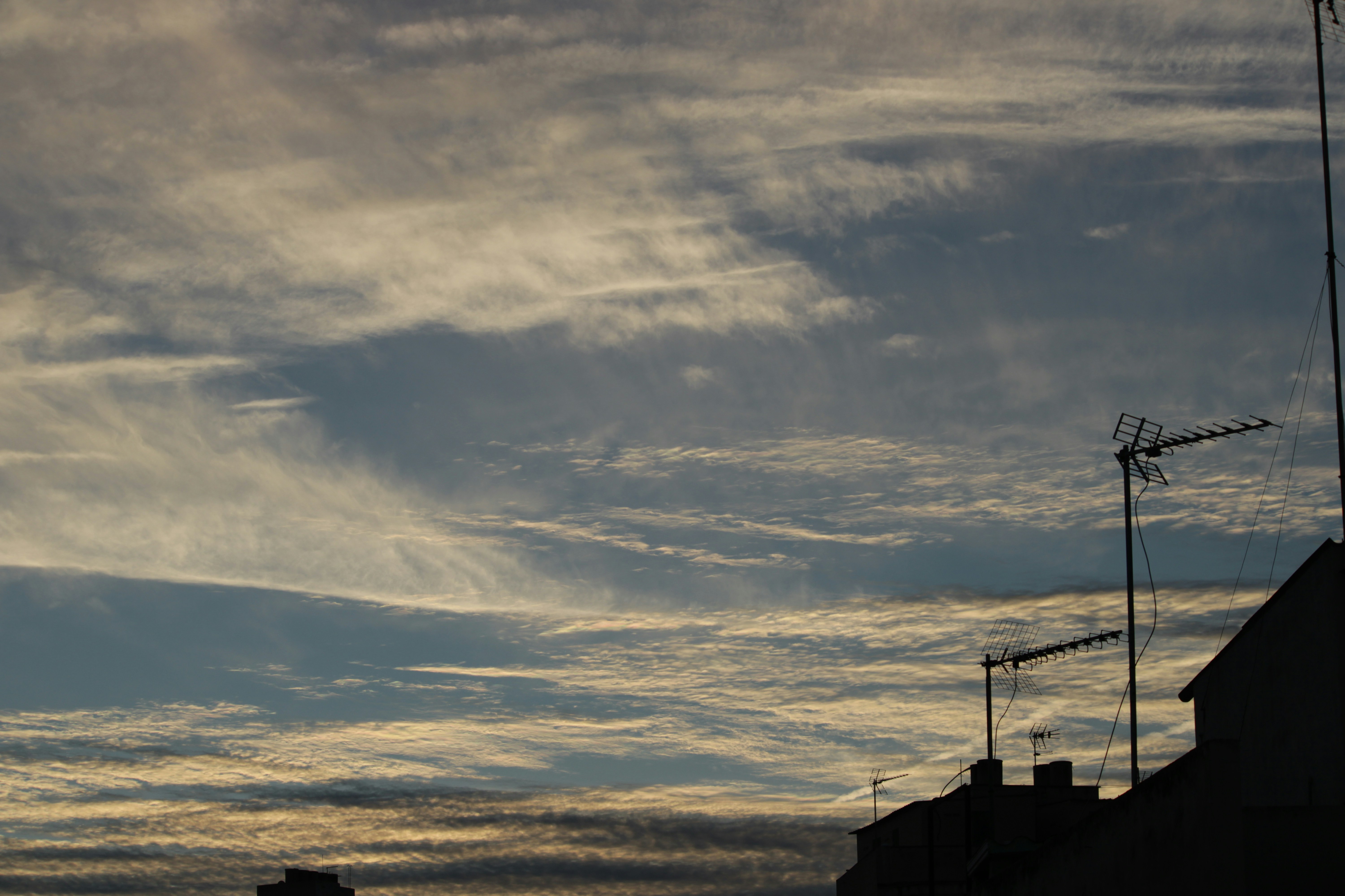 Photo by Susana Bartolome with Canon EOS 2000D