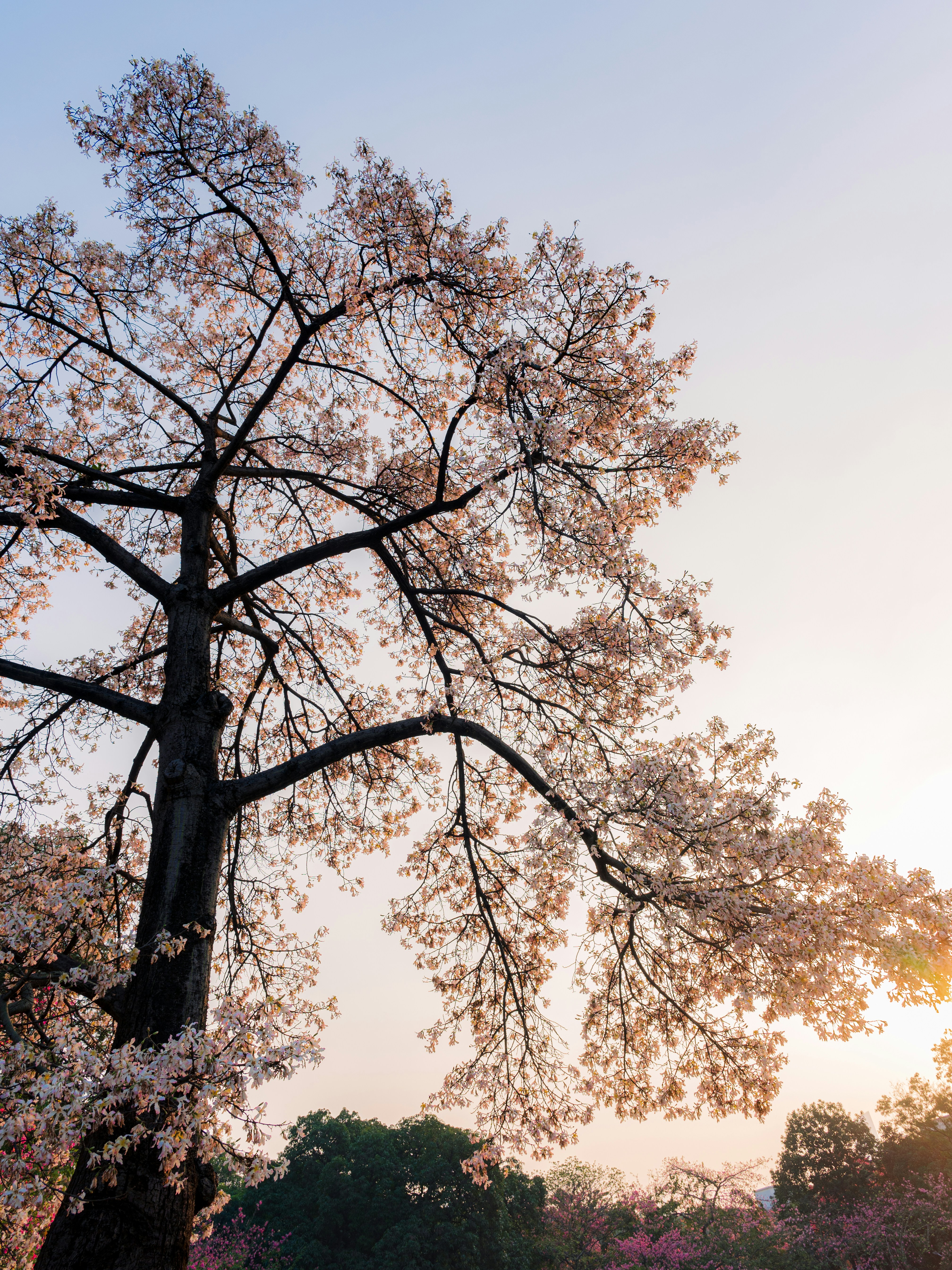 Photo by Zheng XUE with Nikon Z6 III