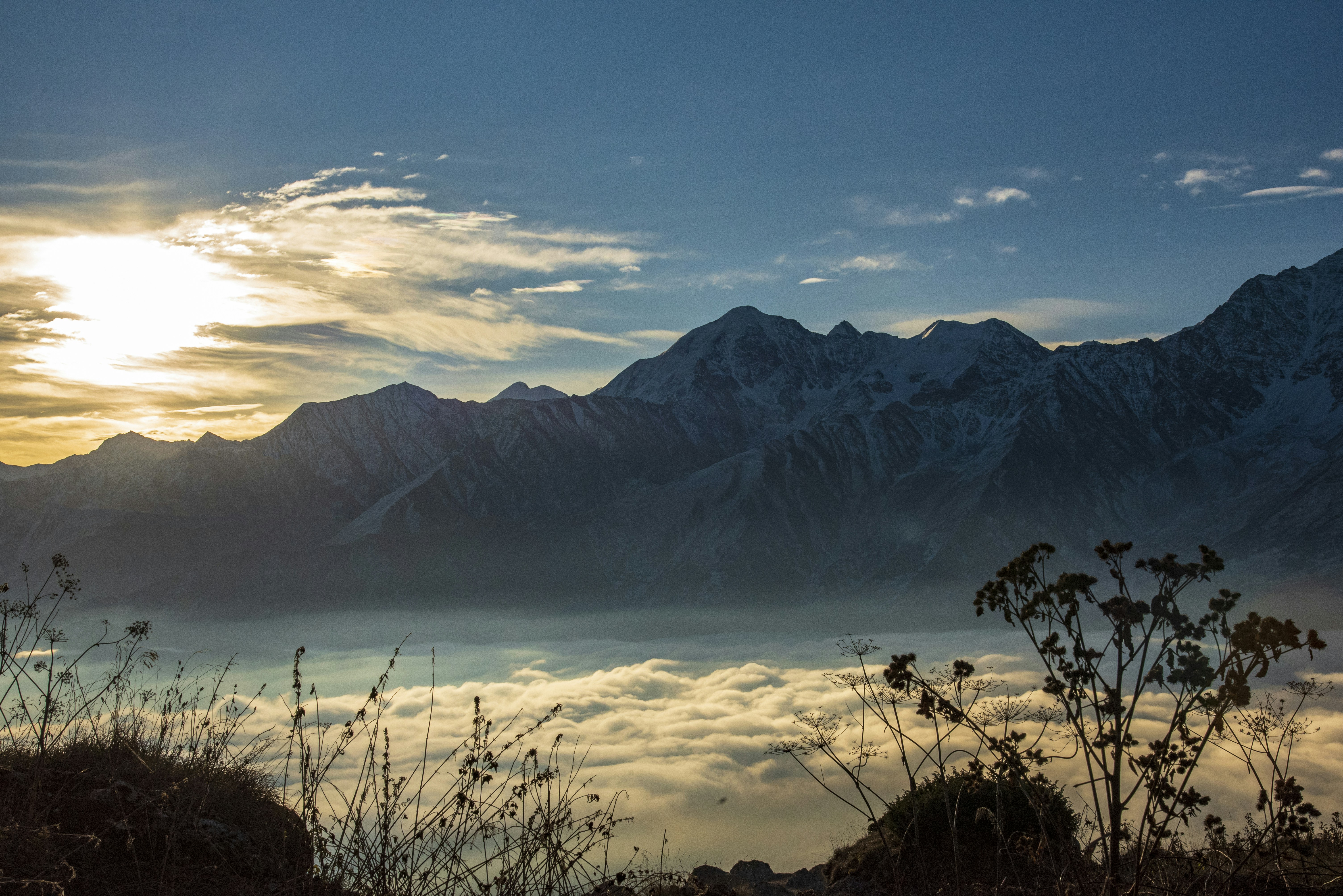 First Light over the Mist: Peaks above the Sea of Clouds