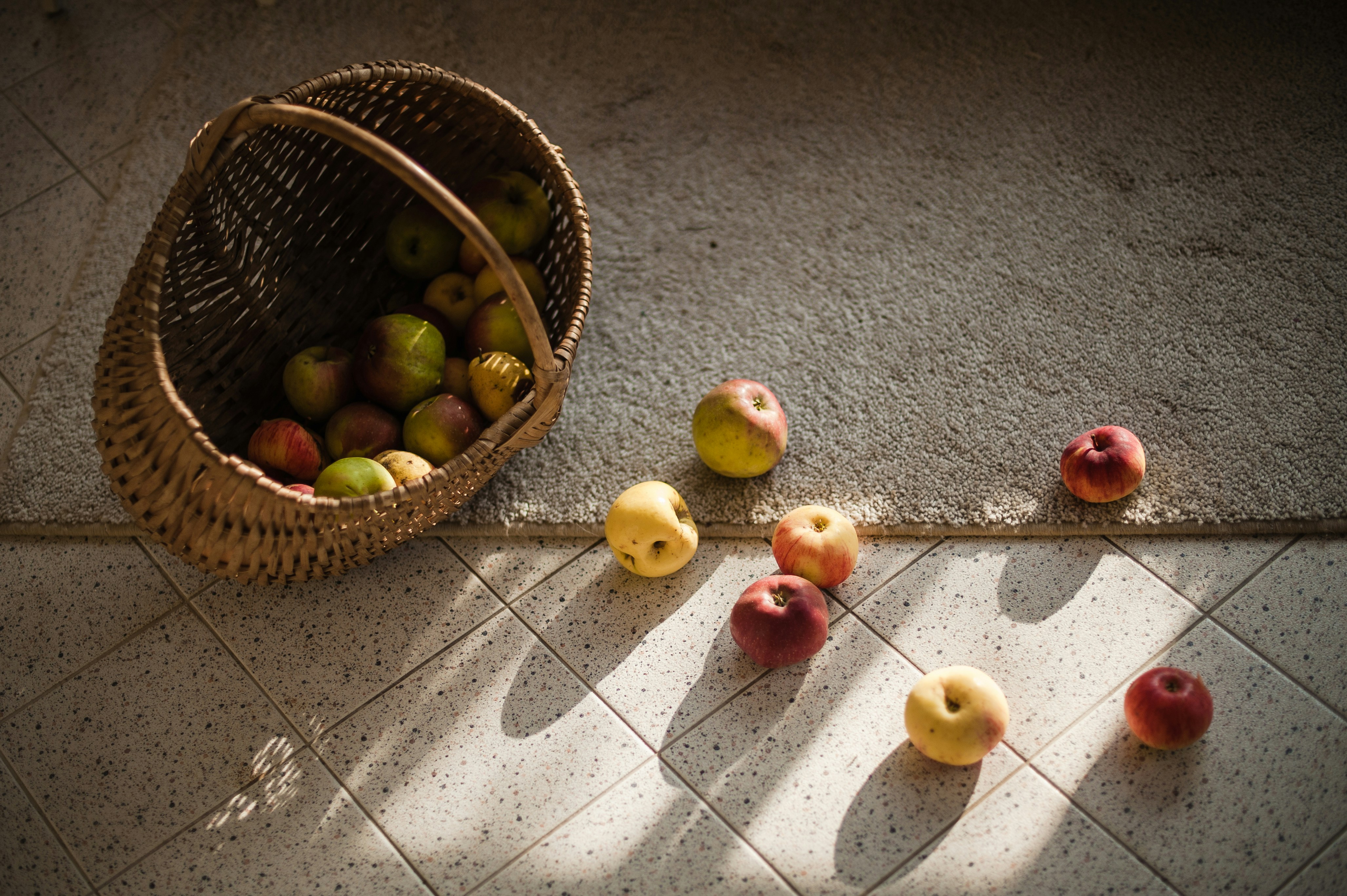 Basket of apples spilled onto sunlit tile floor