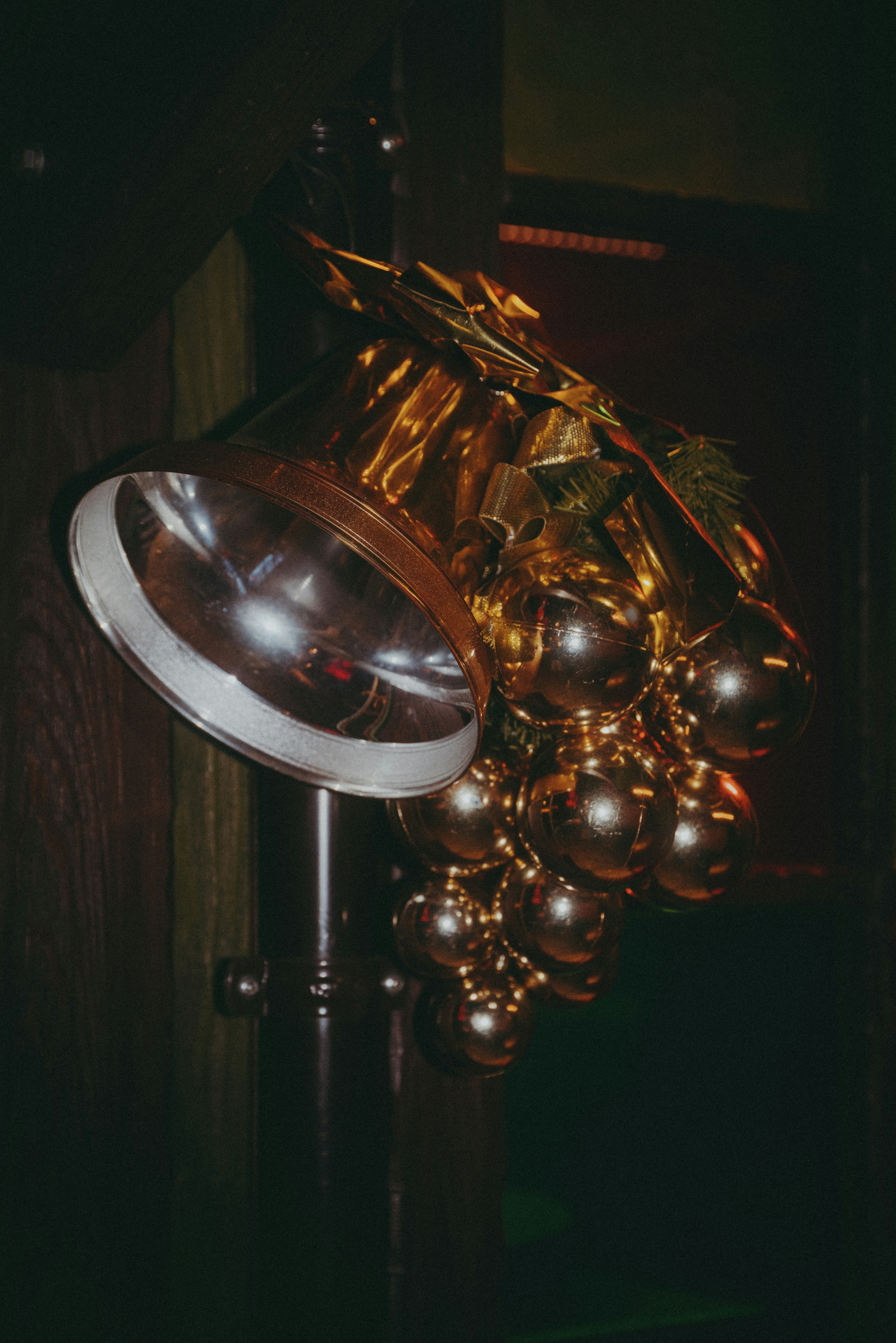 Photo by Jens Riesenberg with Sony Alpha 7R IIIA