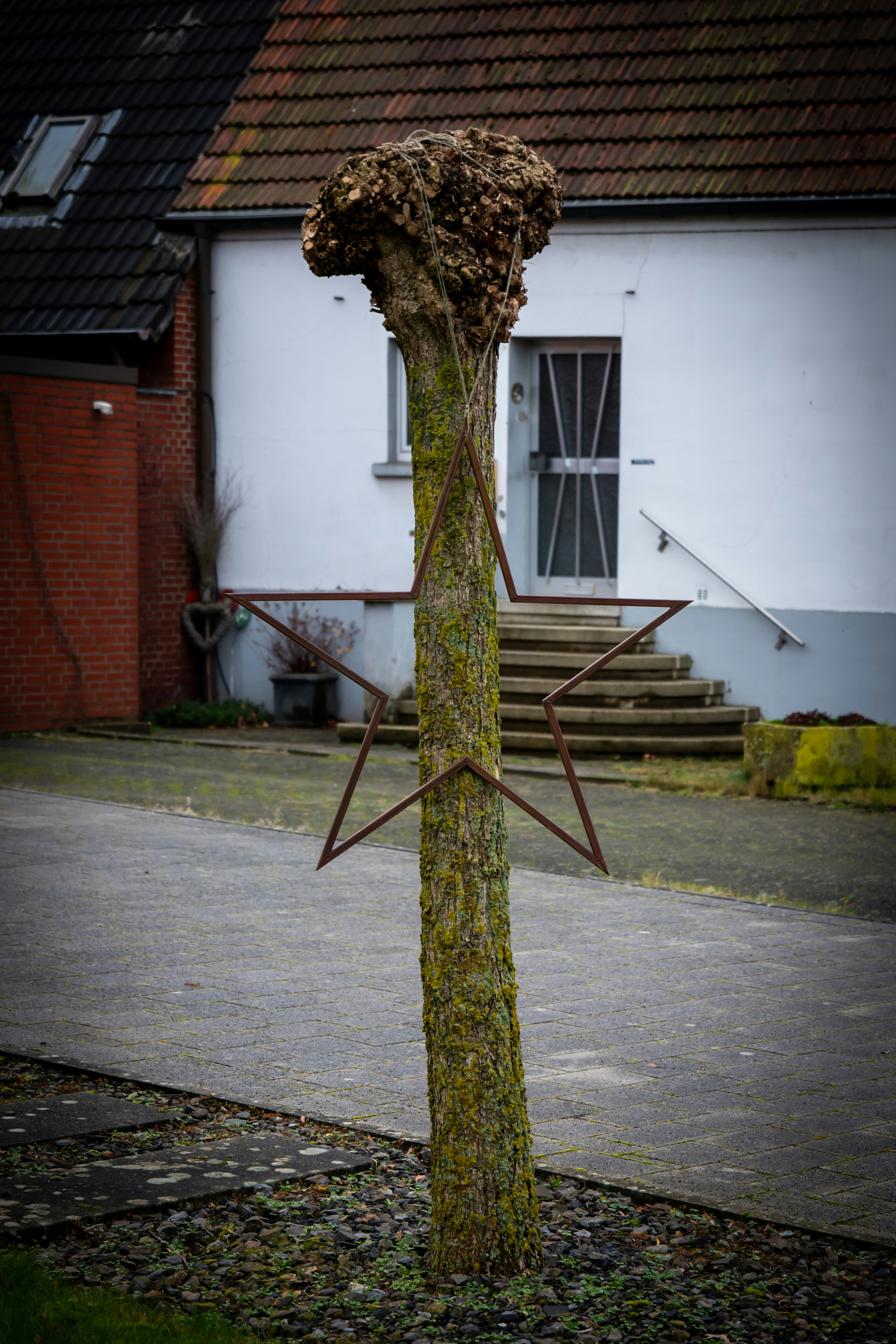 Rusted Star on a Mossy Post