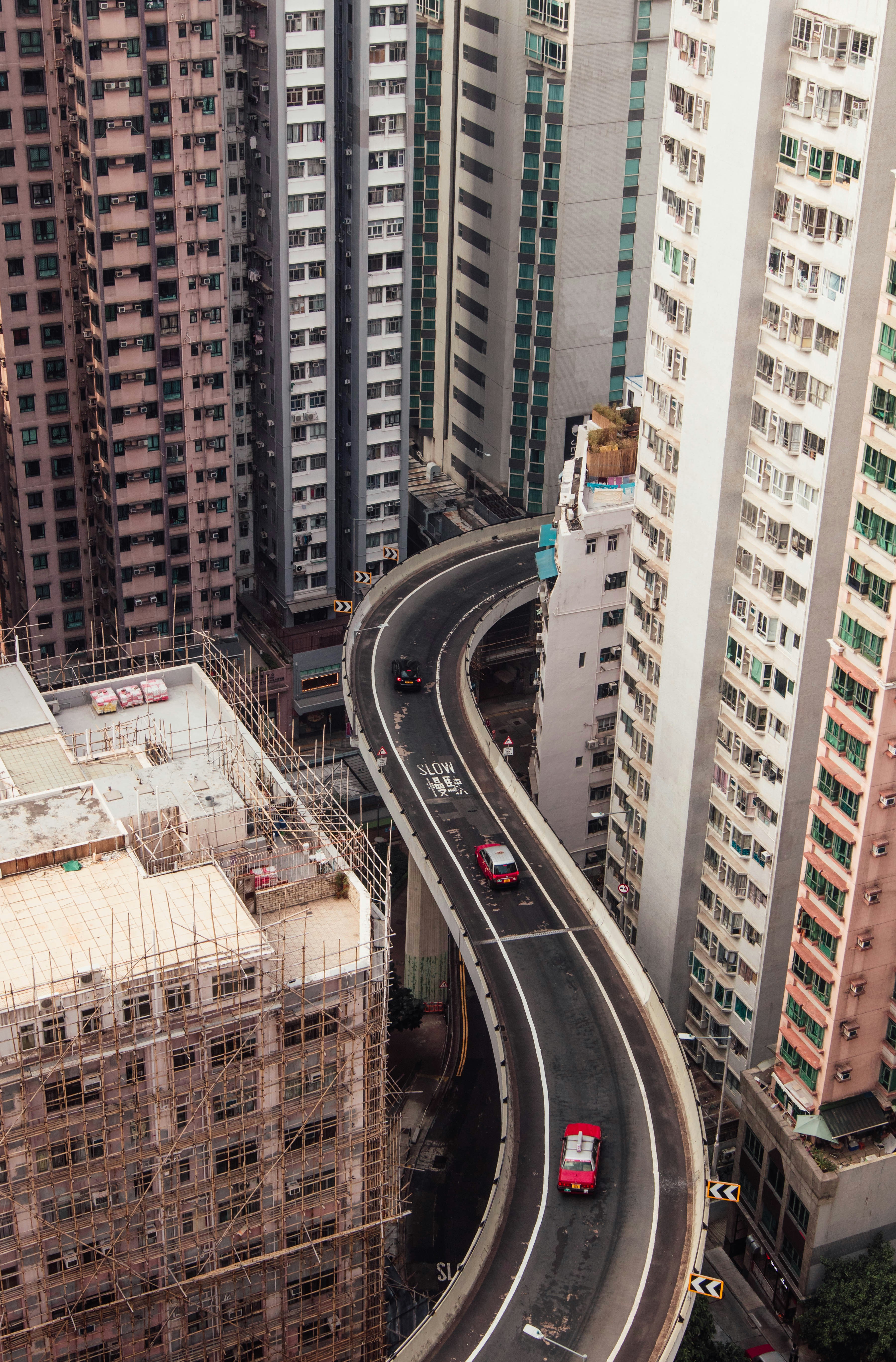 Photo by Ryan Le with Canon EOS 800D