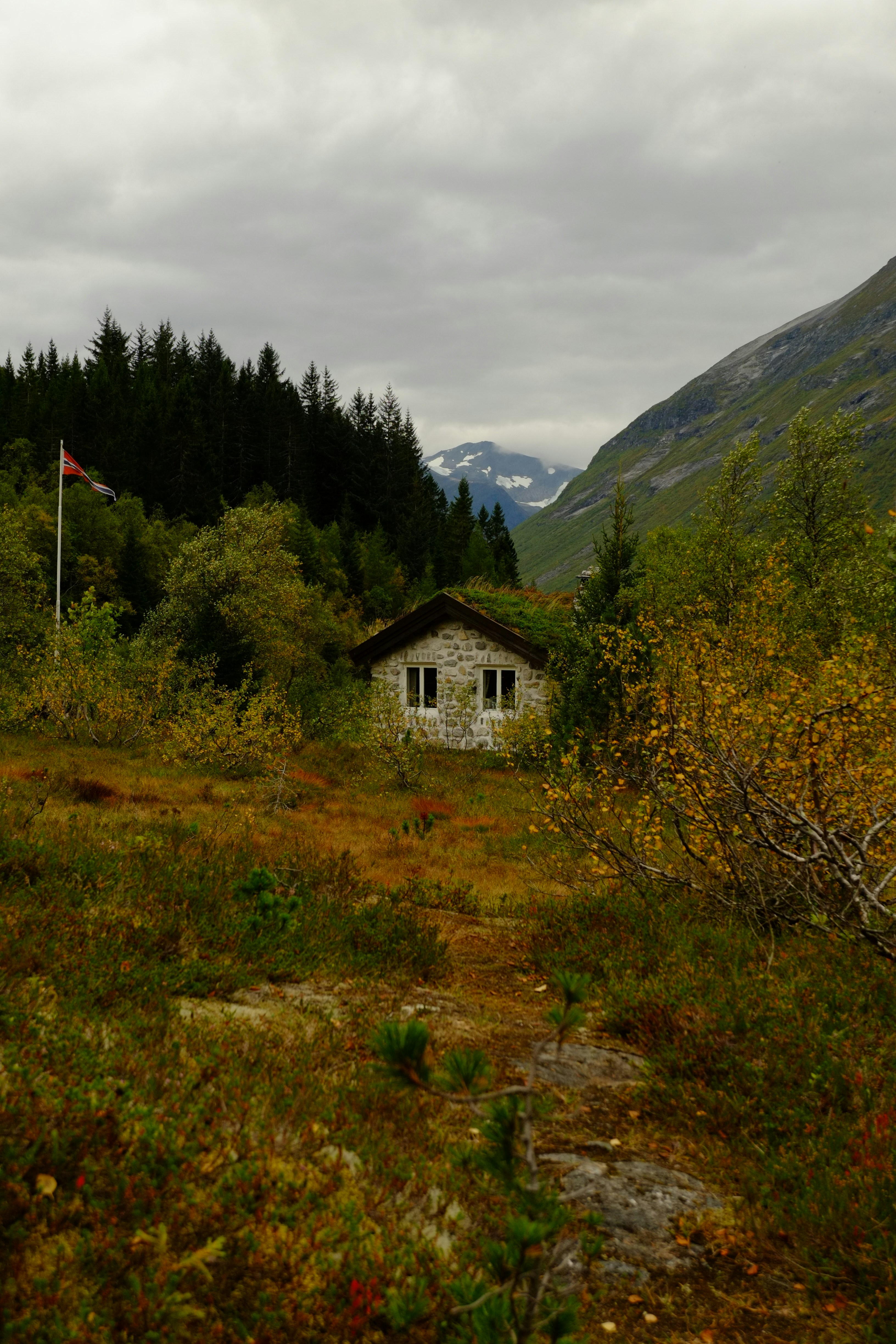 Stone Cabin Amid Autumn Pines Under Cloudy Sky