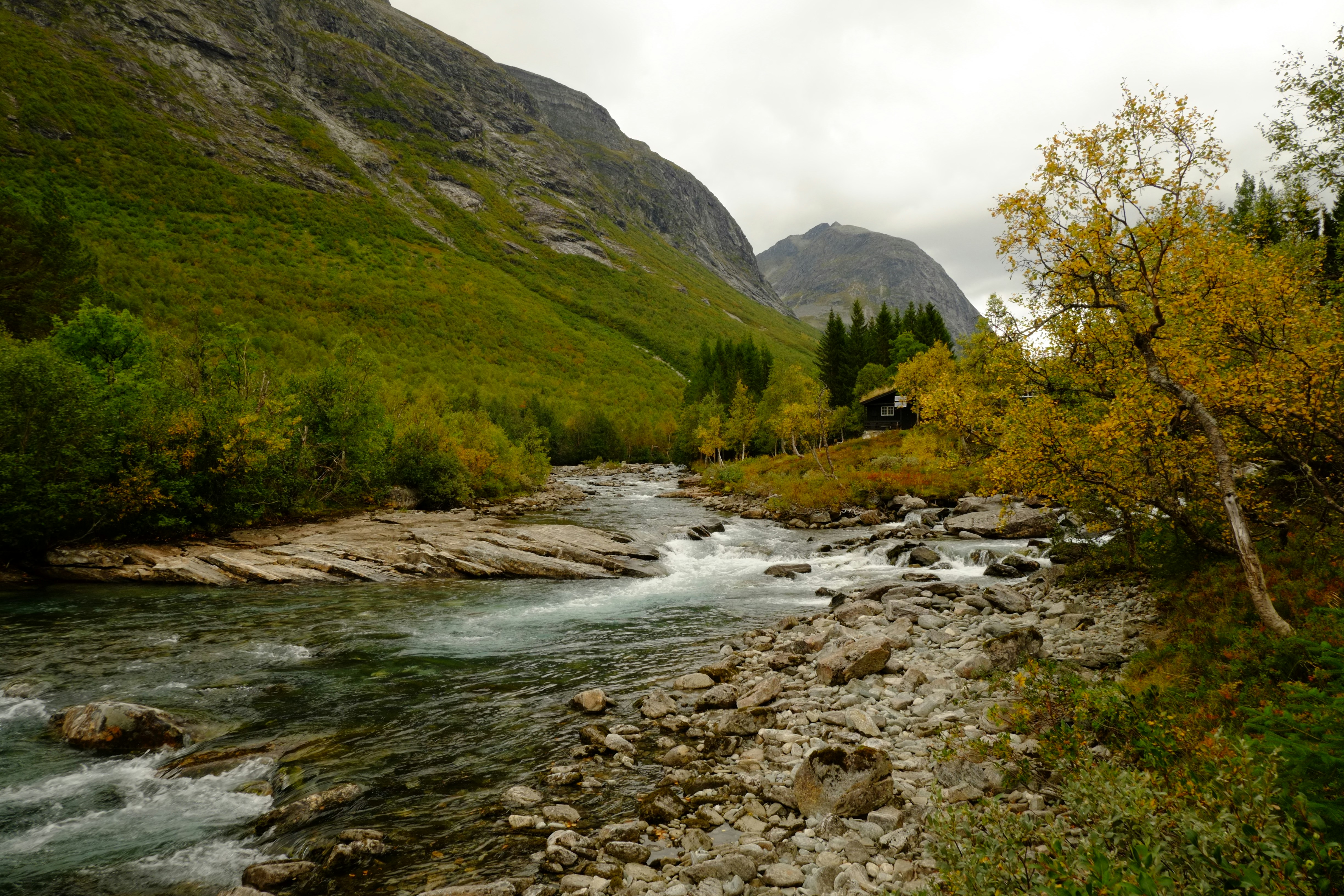 Photo by Bernhard with Fujifilm X-Pro1