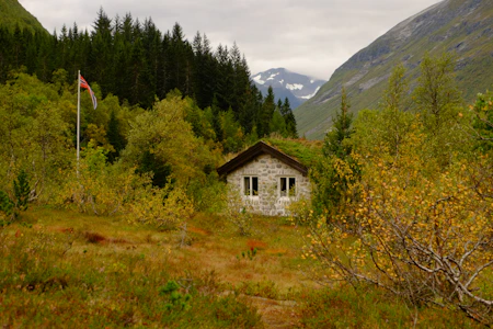 Stone Cabin Amid Golden Pines Under Alpine Veil