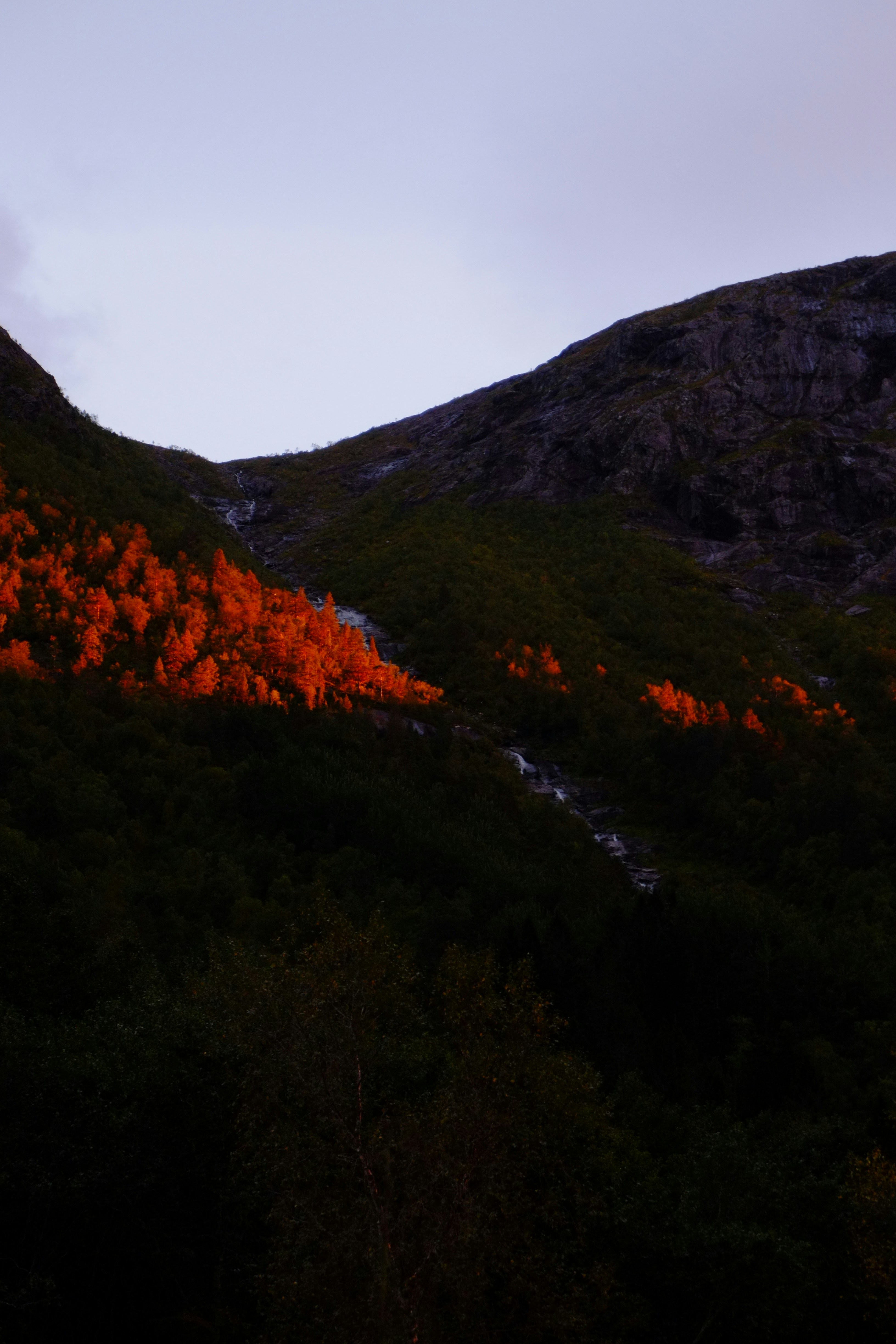Sunlit Highlands: a ridge of autumn flame across the valley