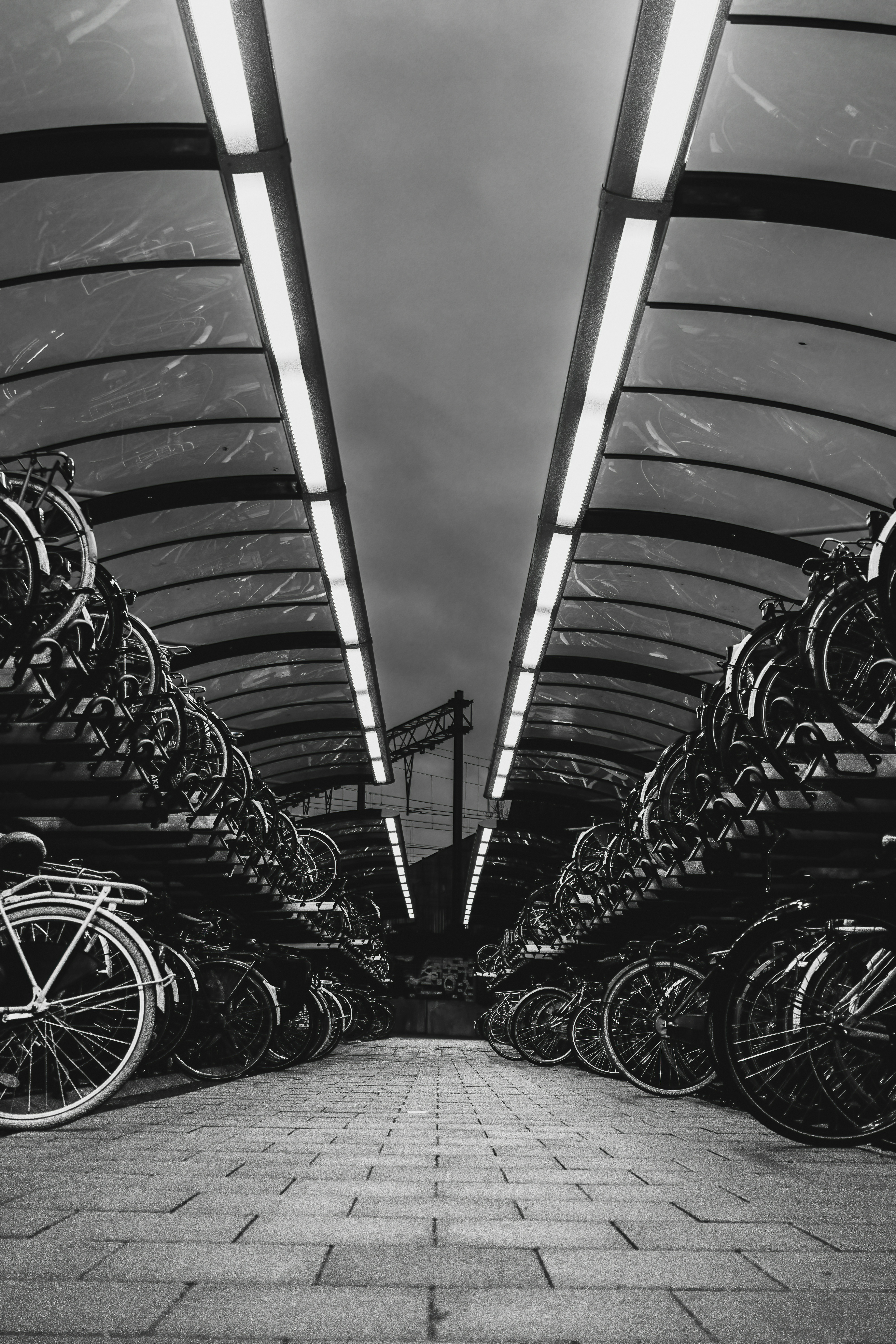 Symmetry in the Subterranean Carousel: A Bicycle Archive Under Fluorescent Skies
