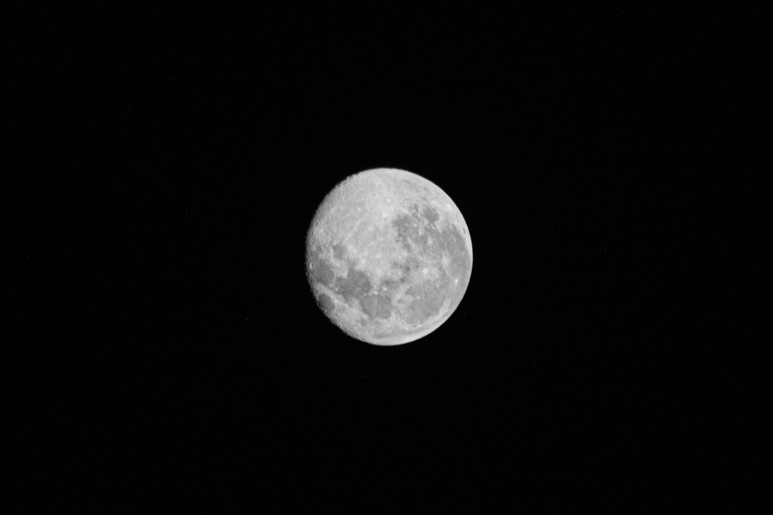 Lone Moon in a Velvet Night