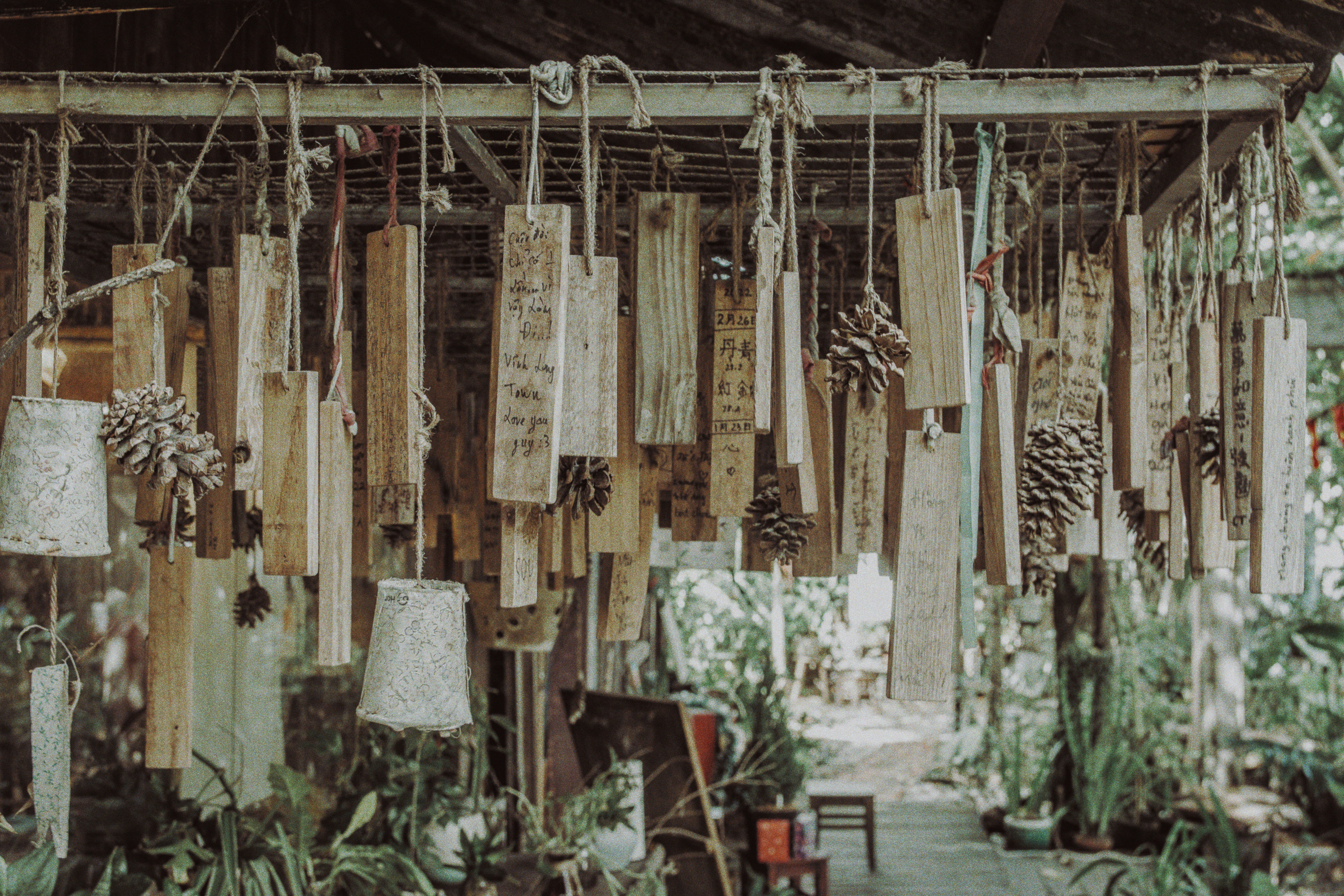 Wish Tags on a Woven Shrine: Pines, Paper, and Quiet Paths