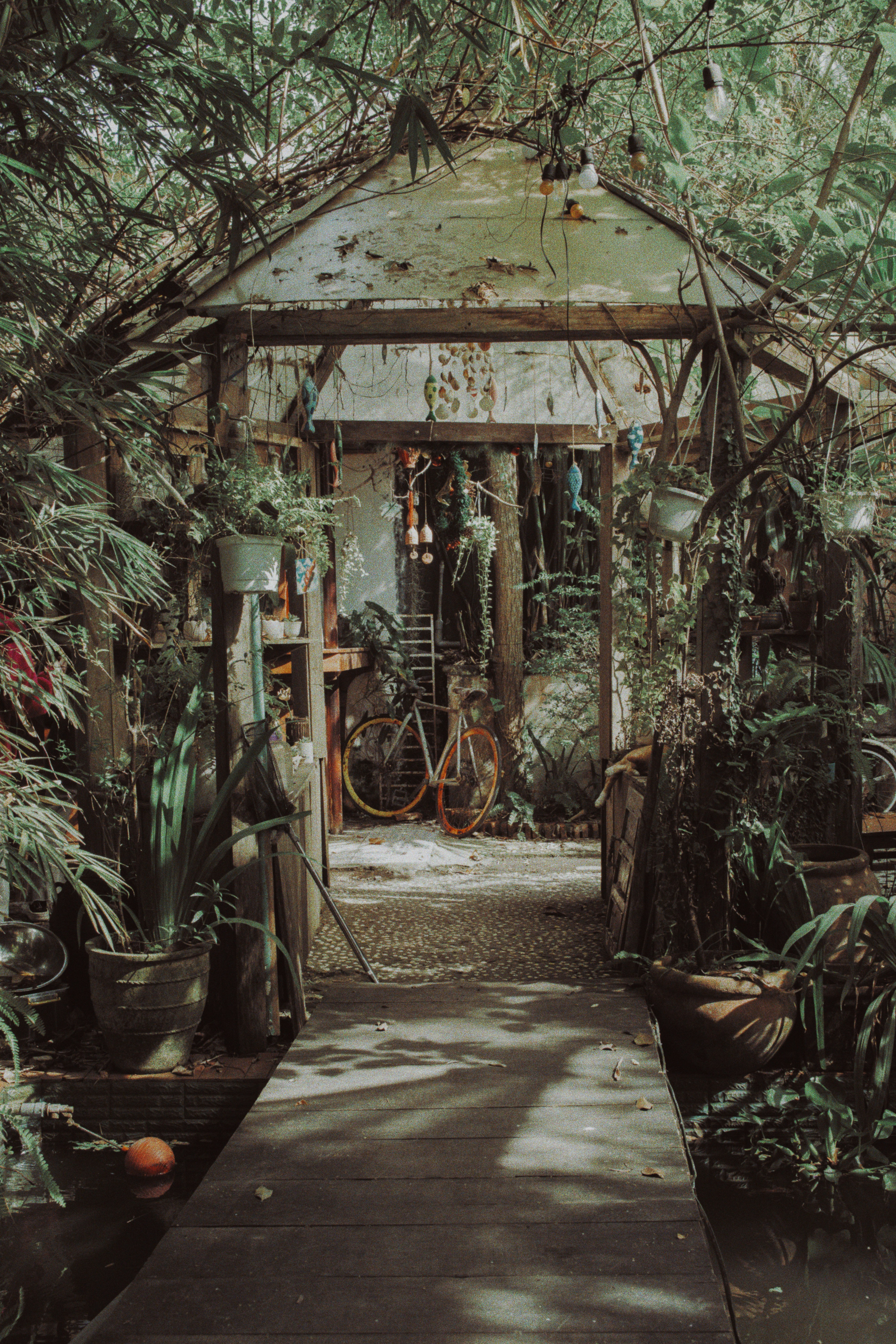 Overgrown Gateway to a Quiet Oasis