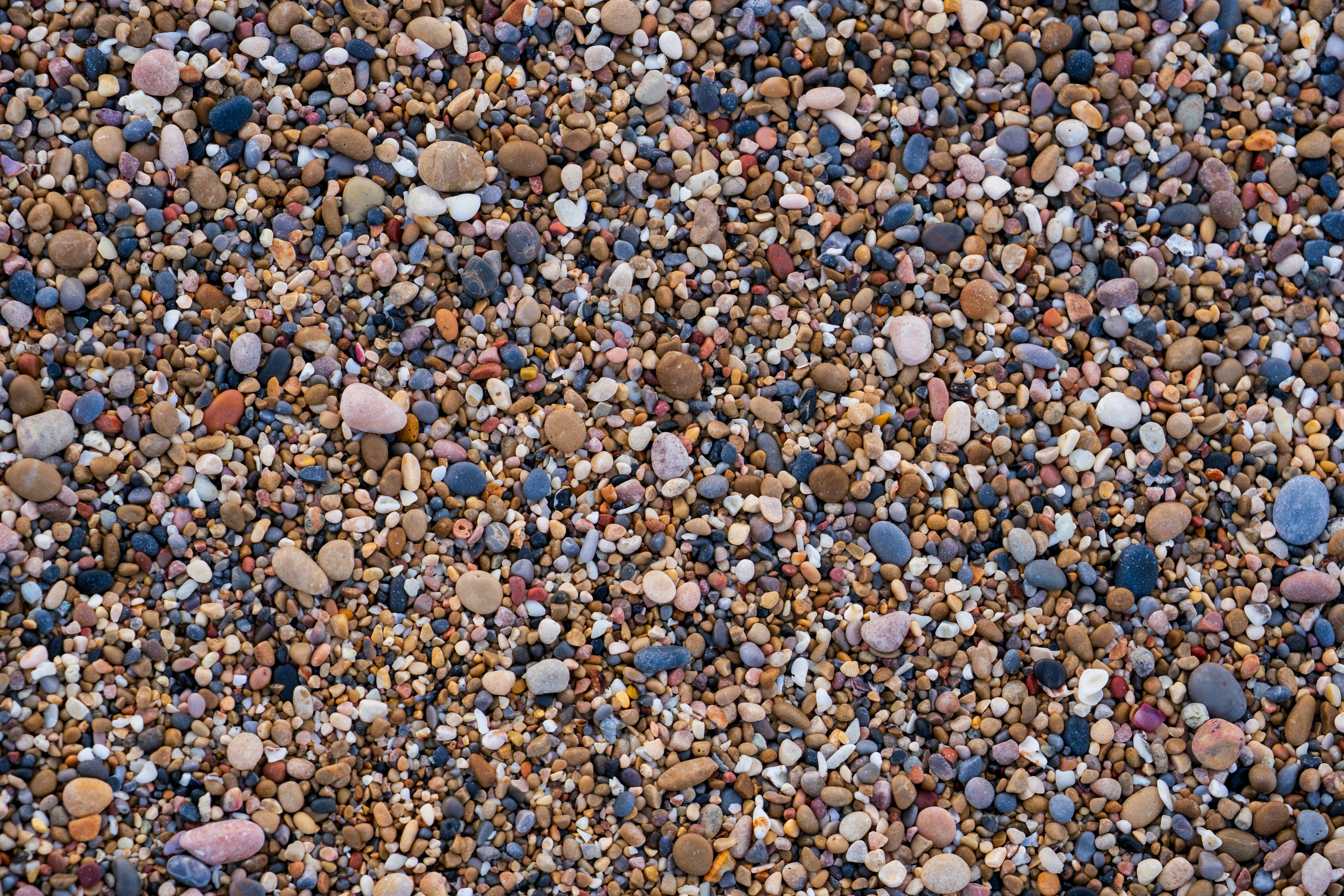 Pebble Mosaic: A Quiet Shuffle of Color and Texture on a Shoreline