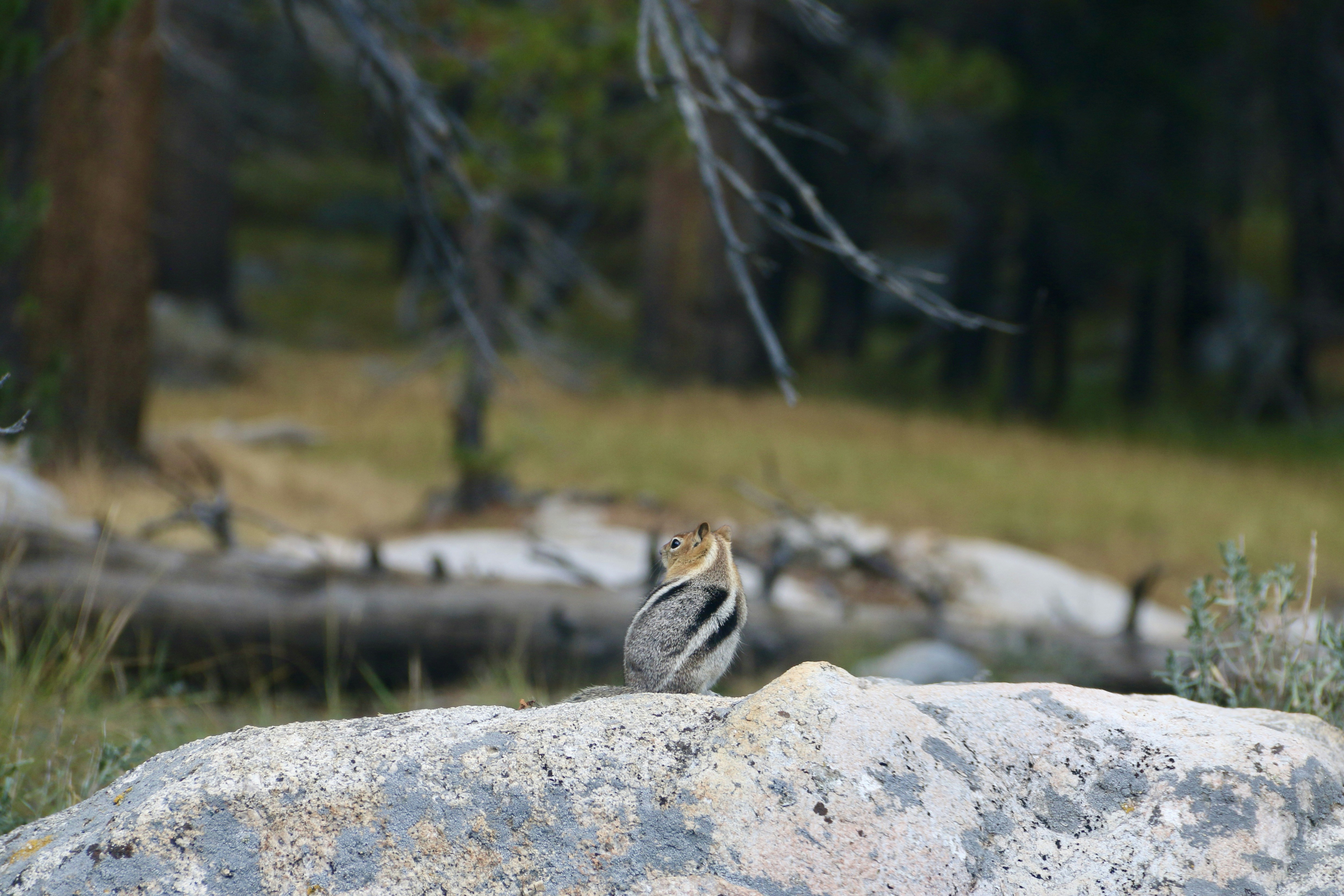 Photo by Polina Koroleva with Canon EOS 70D