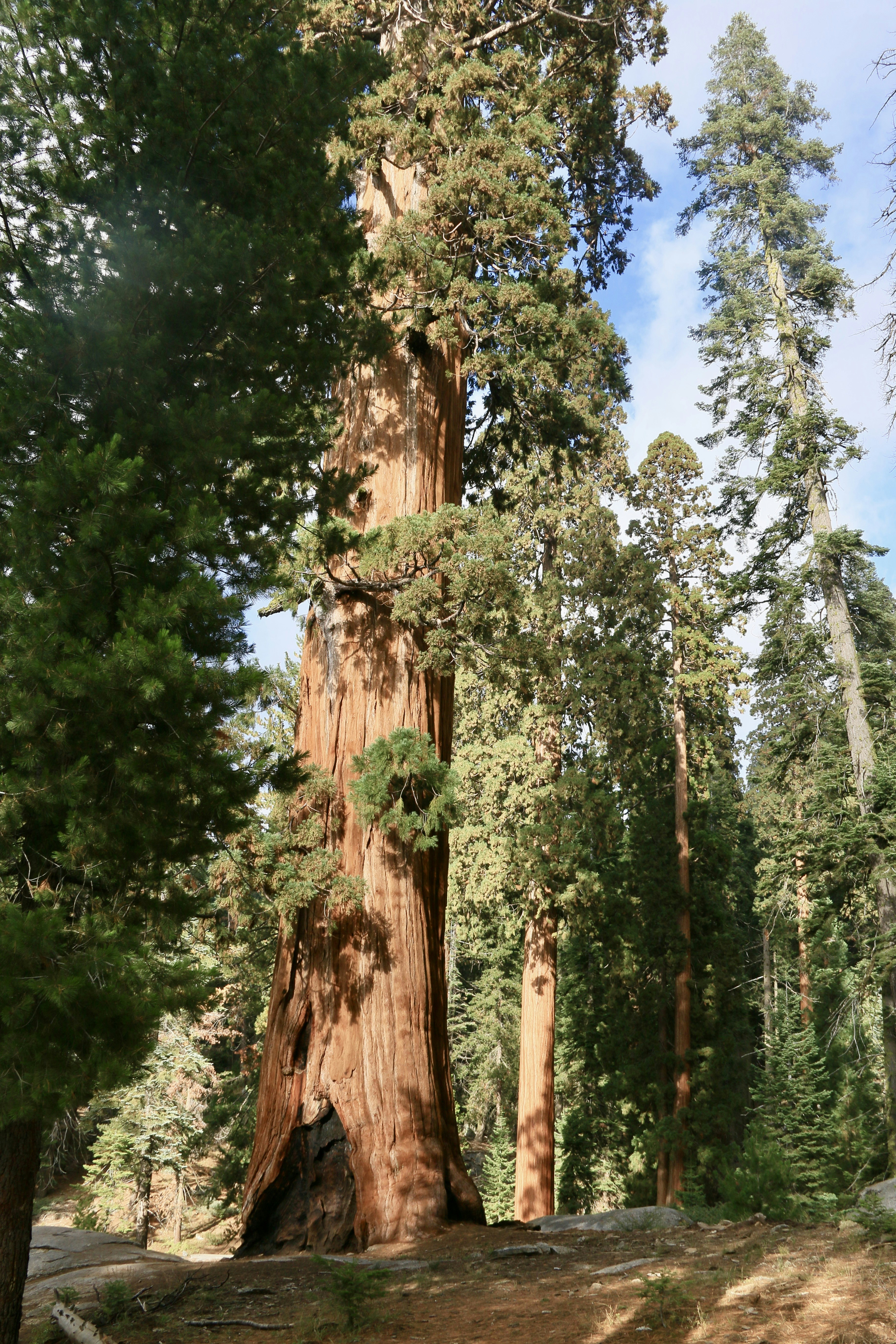 Photo by Polina Koroleva with Canon EOS 70D