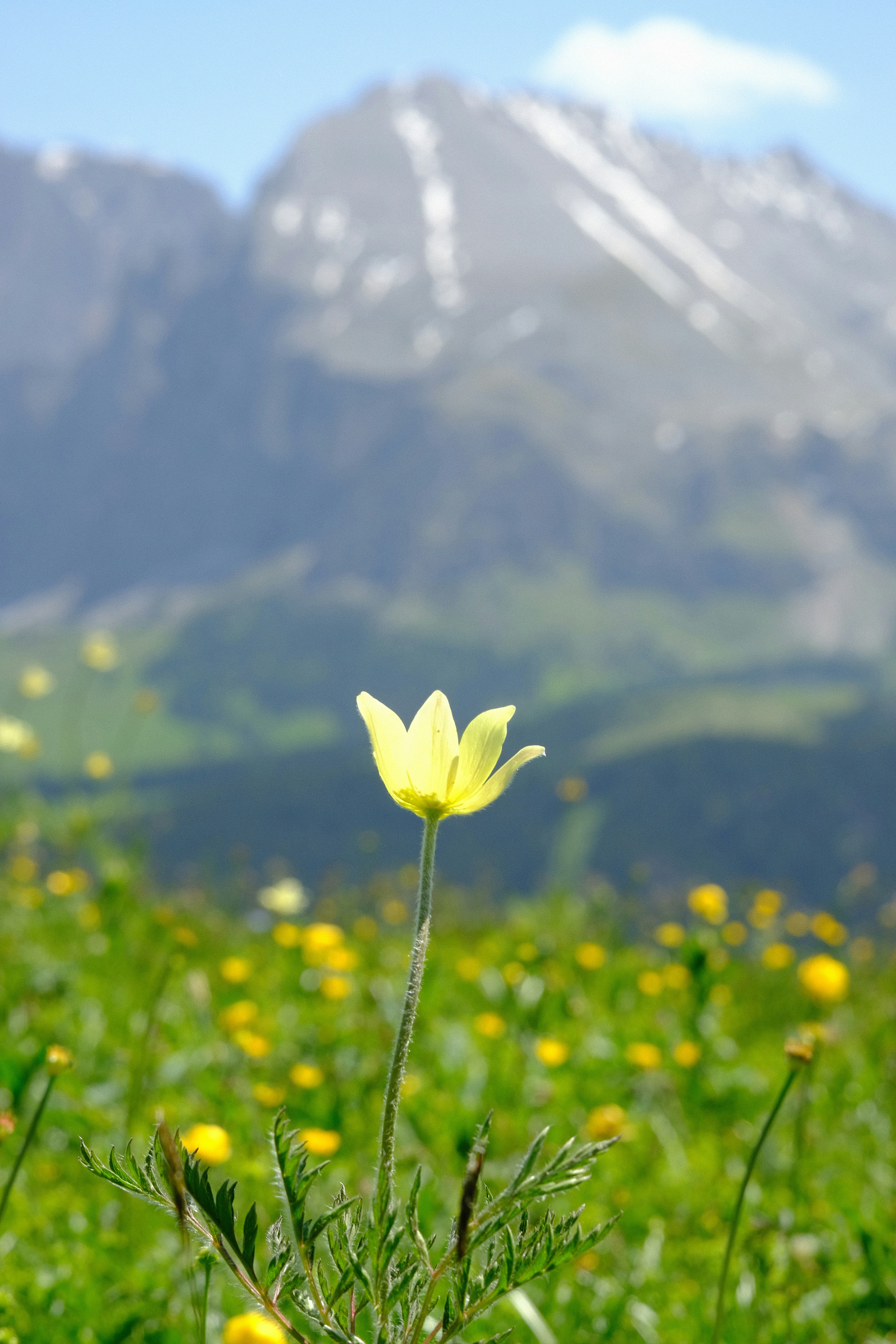 Photo by Madita Luisa with Fujifilm X-T20