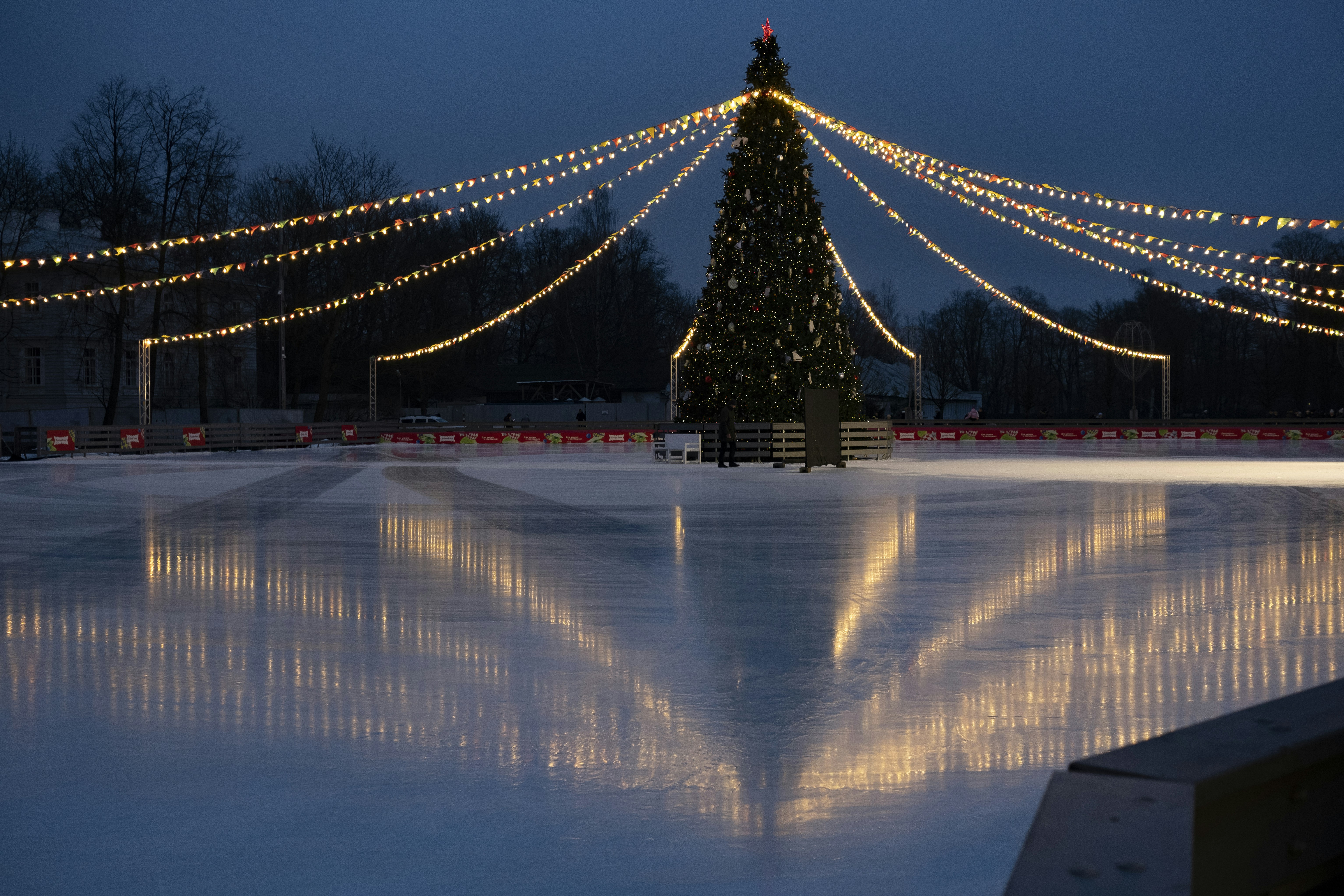 Luminous Christmas Tree Reflections Across a Velvet Ice